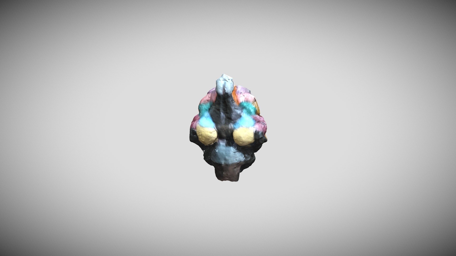 3D printed cat brain (colorfull) - 3D model by ekrueger-UEL (@ekrueger ...
