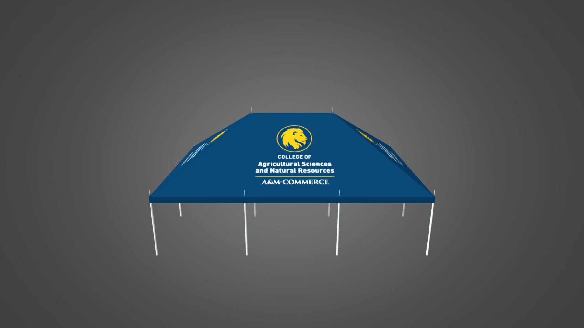 Pro Serv Business-115947 - 3D model by celinatent [d498679] - Sketchfab