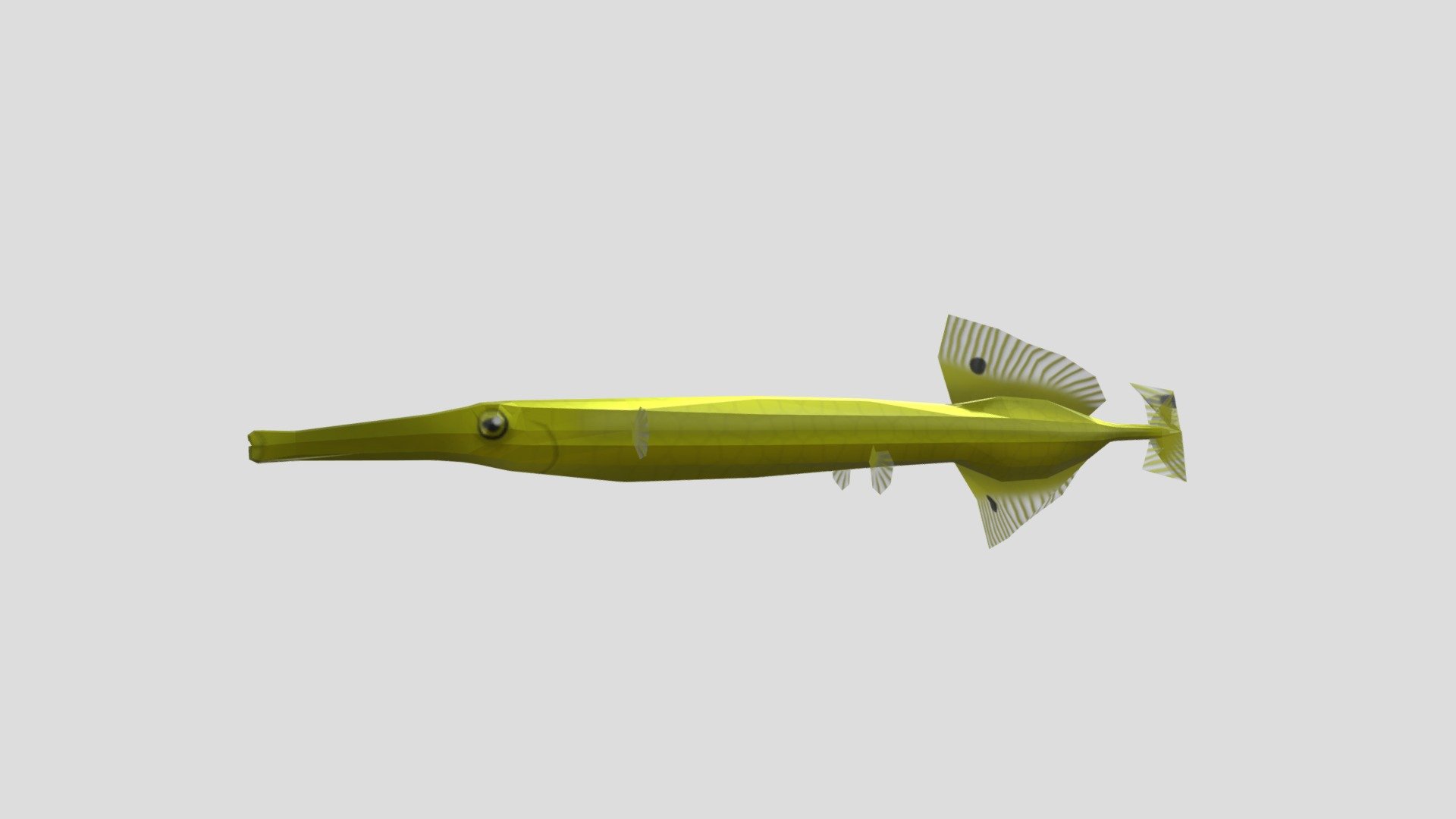 yellow trumpet fish - 3D model by loal1713618 [d4996b9] - Sketchfab