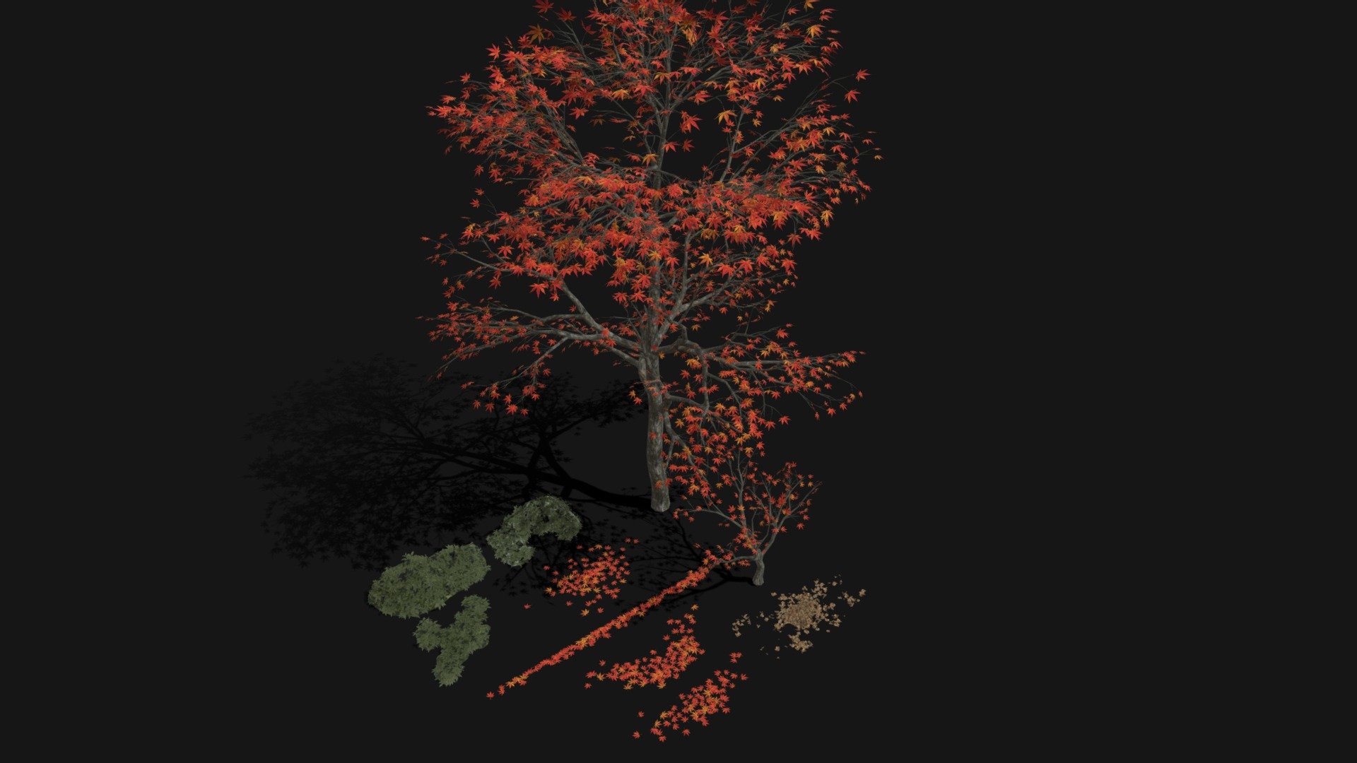 trees-vegetation-pack-2 - Download Free 3D model by local.yany [d49acf2 ...