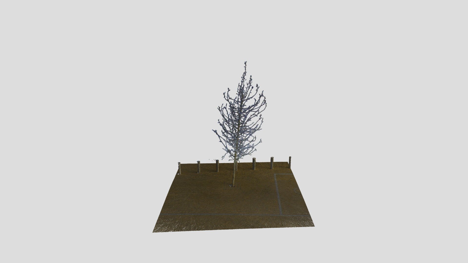 Tree Point Cloud - Download Free 3D model by vsigno [d49e05e] - Sketchfab