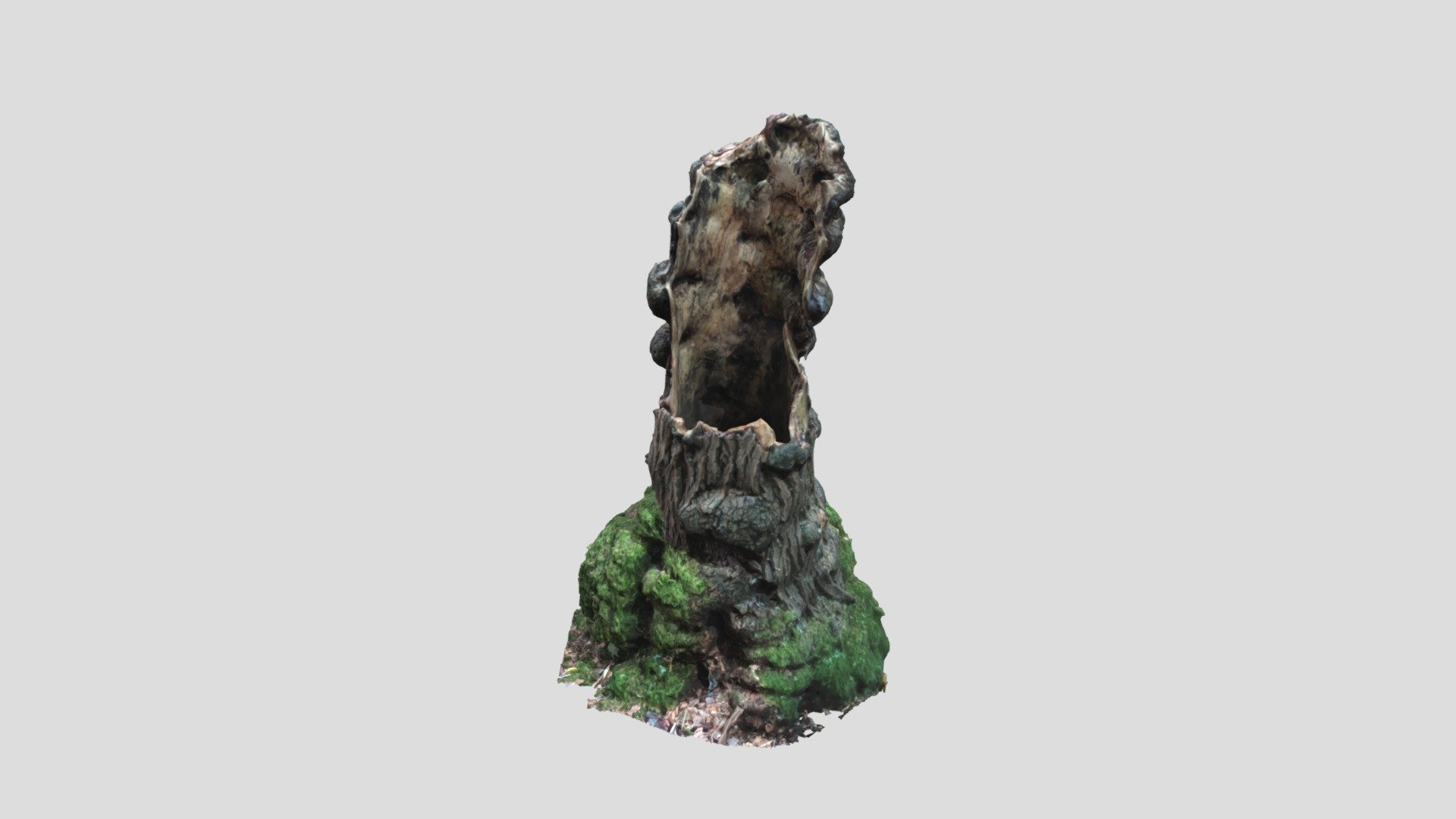 Rotten Tree Stump - 3D model by aaronrossmercer [d4a2b0e] - Sketchfab