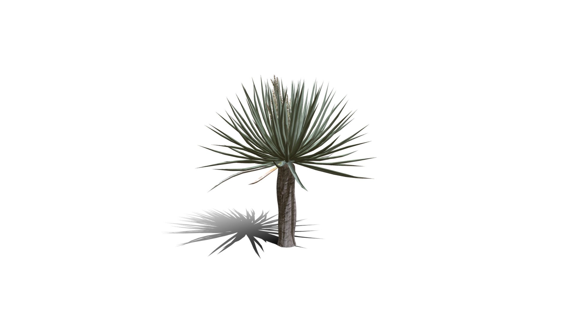 Realistic HD Dragon tree (1/50) - Download Free 3D model by ...