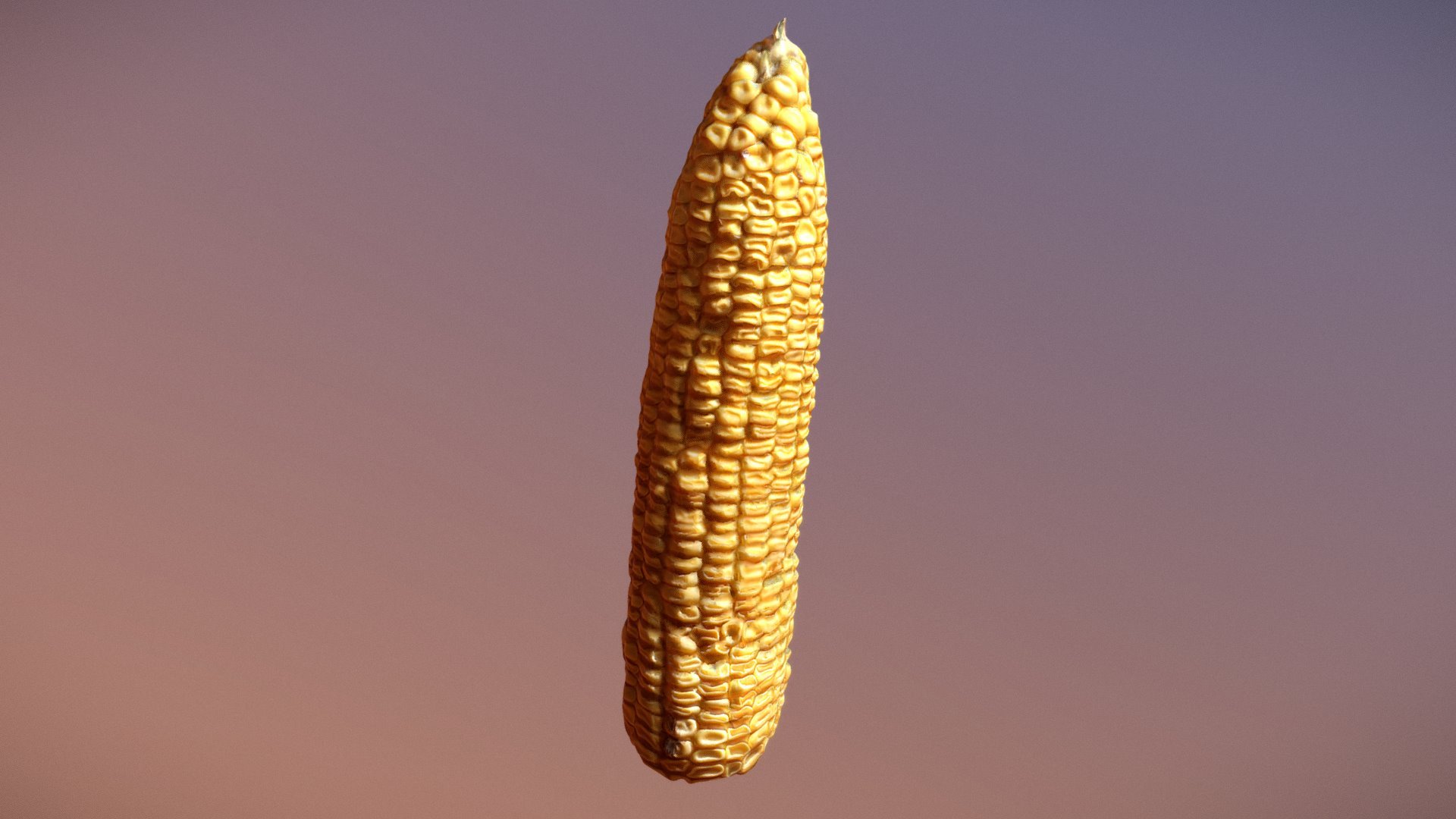 Corn 2 - 3D model by manucpr [d4a80fc] - Sketchfab