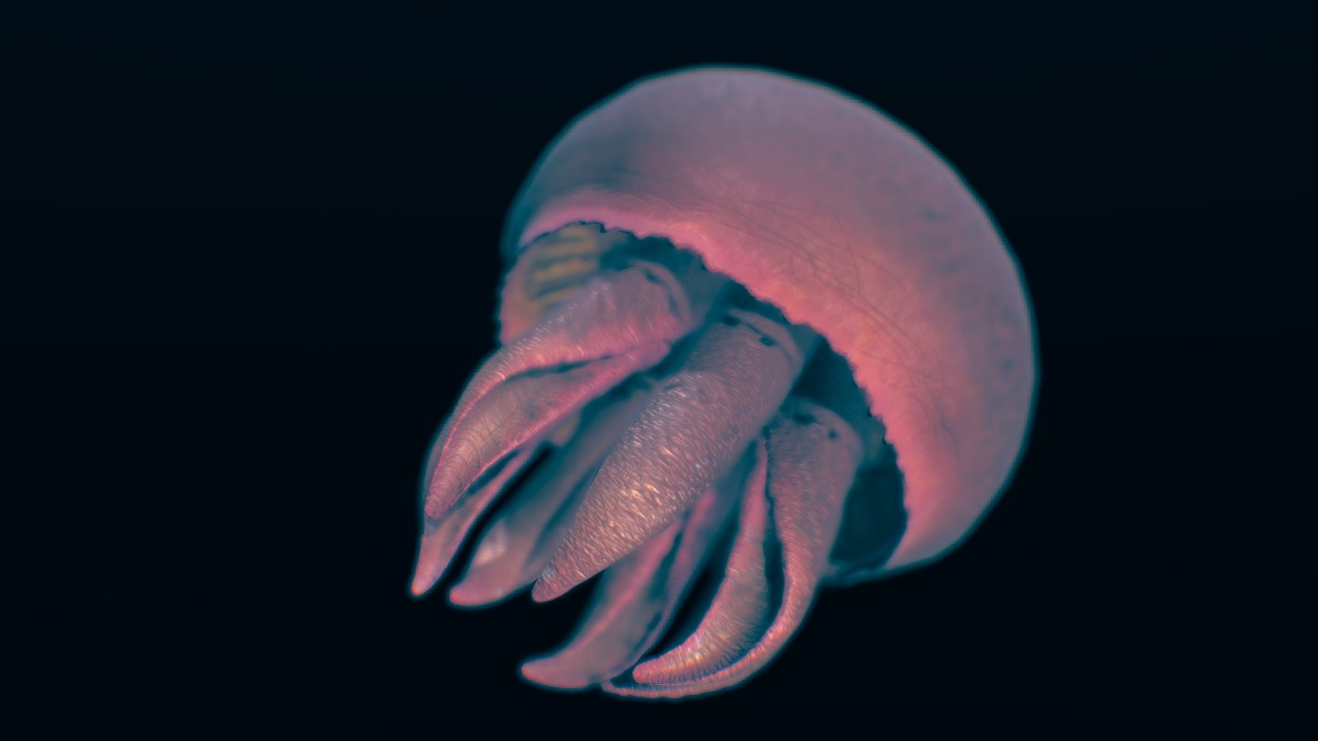 Tiburonia - Buy Royalty Free 3D model by Nestaeric [d4acd6f ...