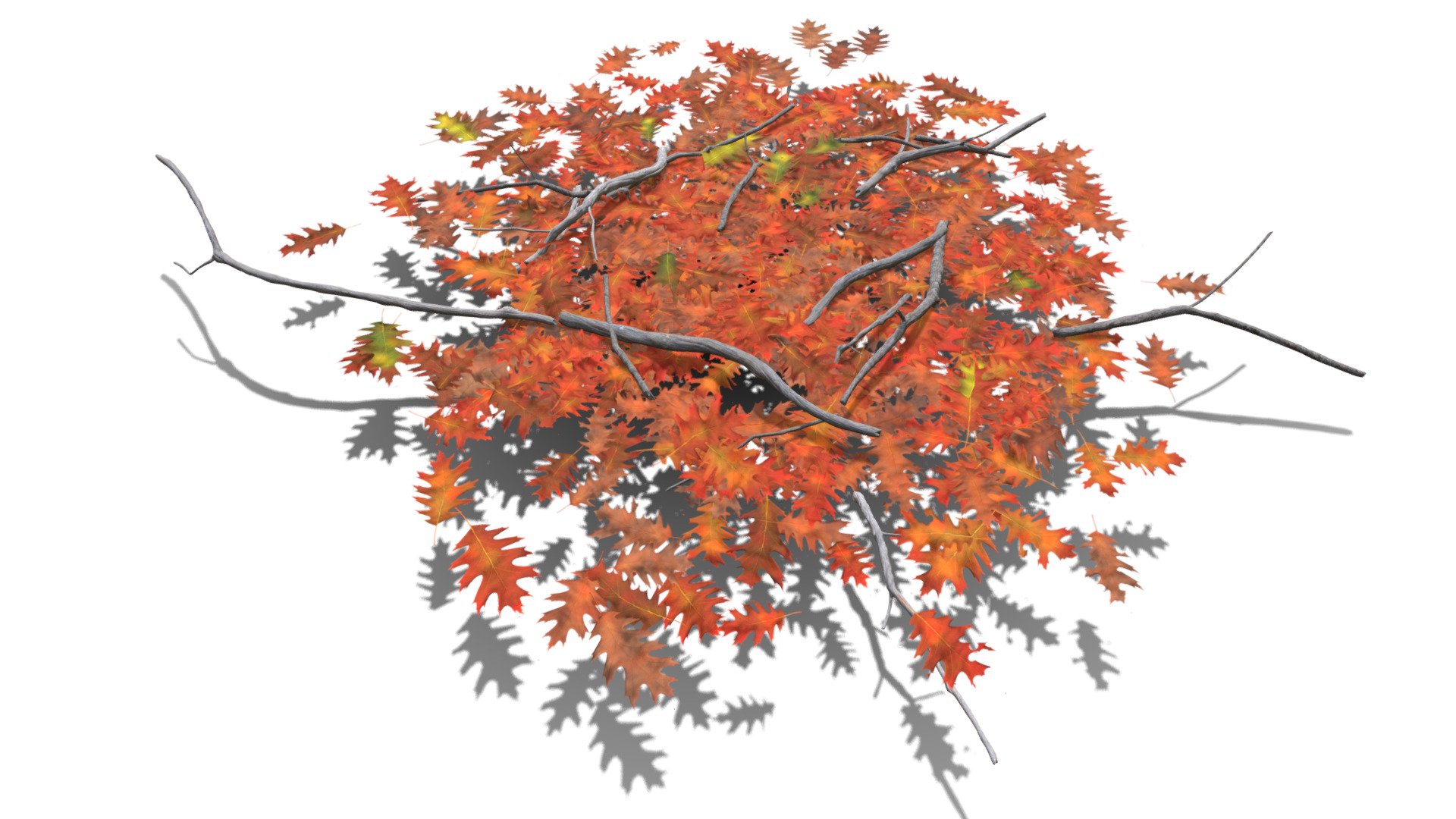 Realistic HD Red oak leaf litter (10/36) - Download Free 3D model by ...