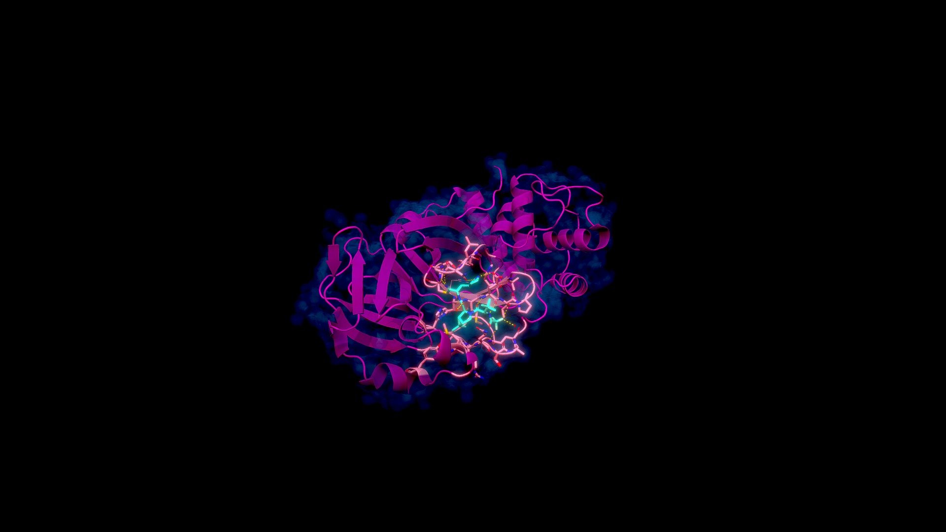 SARS-CoV-2 Mpro and Inhibitor PF-07321332 - 3D model by Youtrin ...