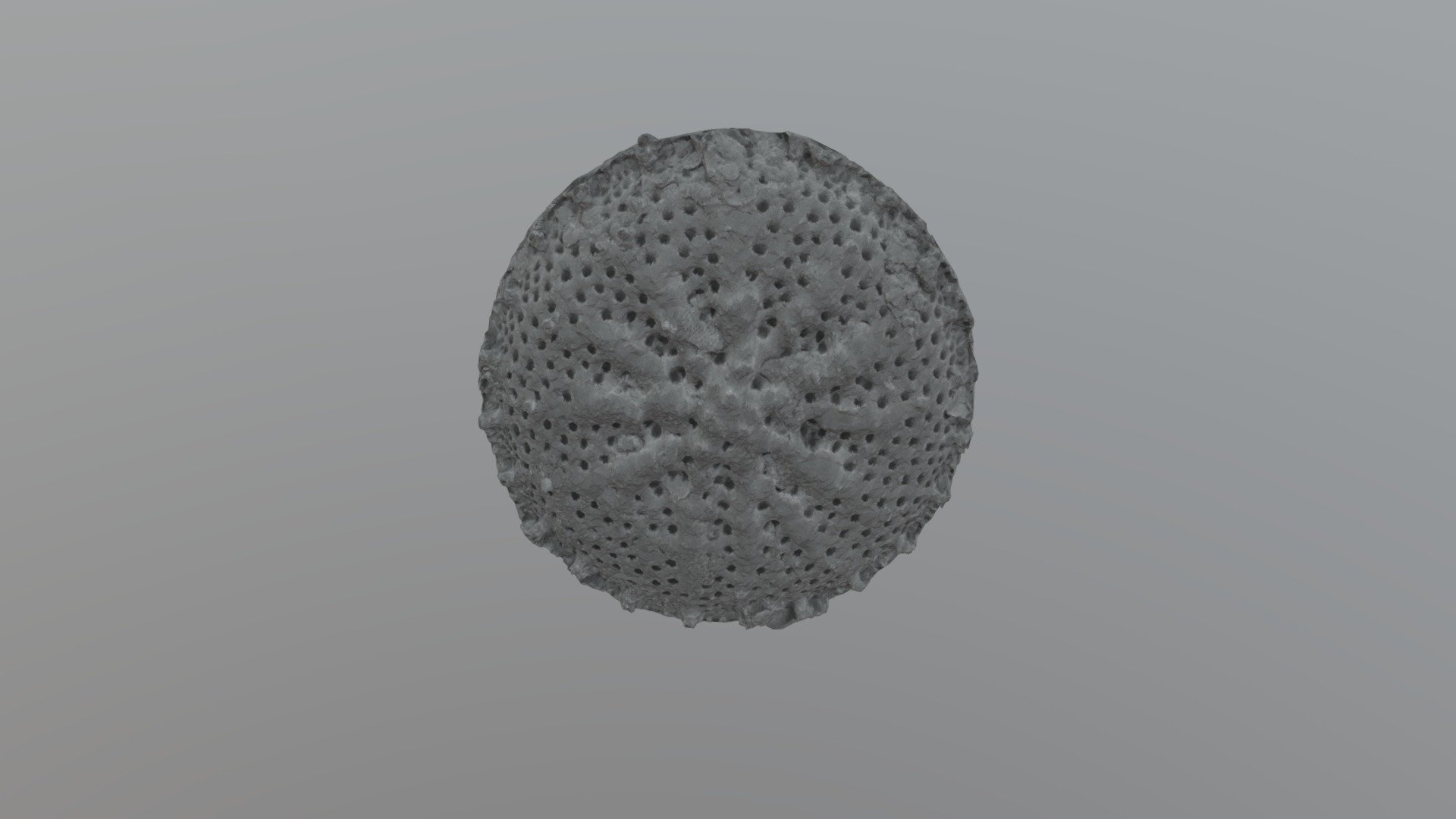 Photogrammetry based 3D diatom model - 3D model by rcgear_japan ...