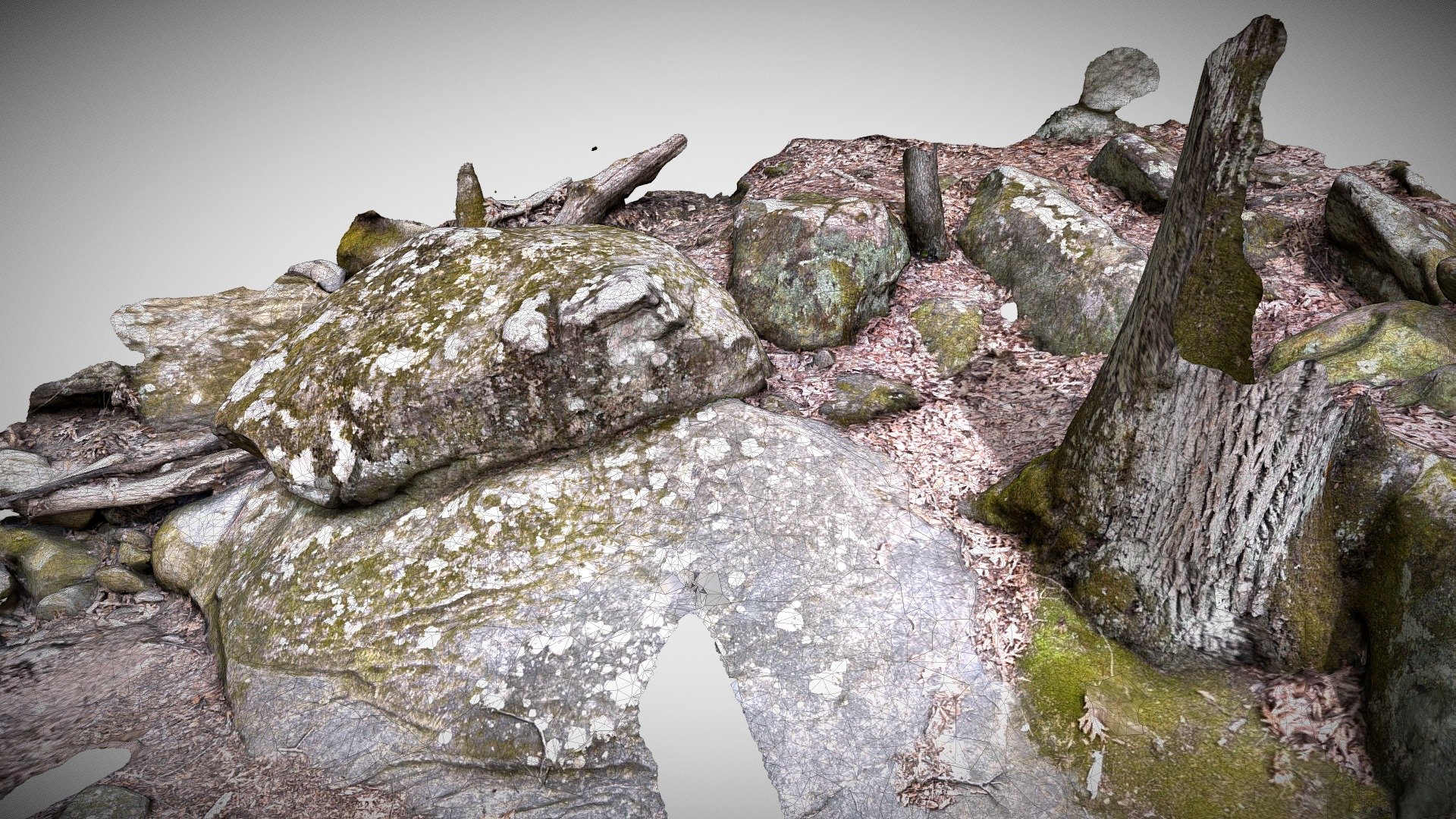 Rock face 2 - Download Free 3D model by Dakotank [d4c1cb2] - Sketchfab