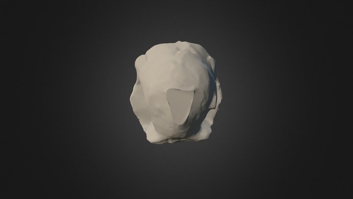 Australopithecus 3D models - Sketchfab