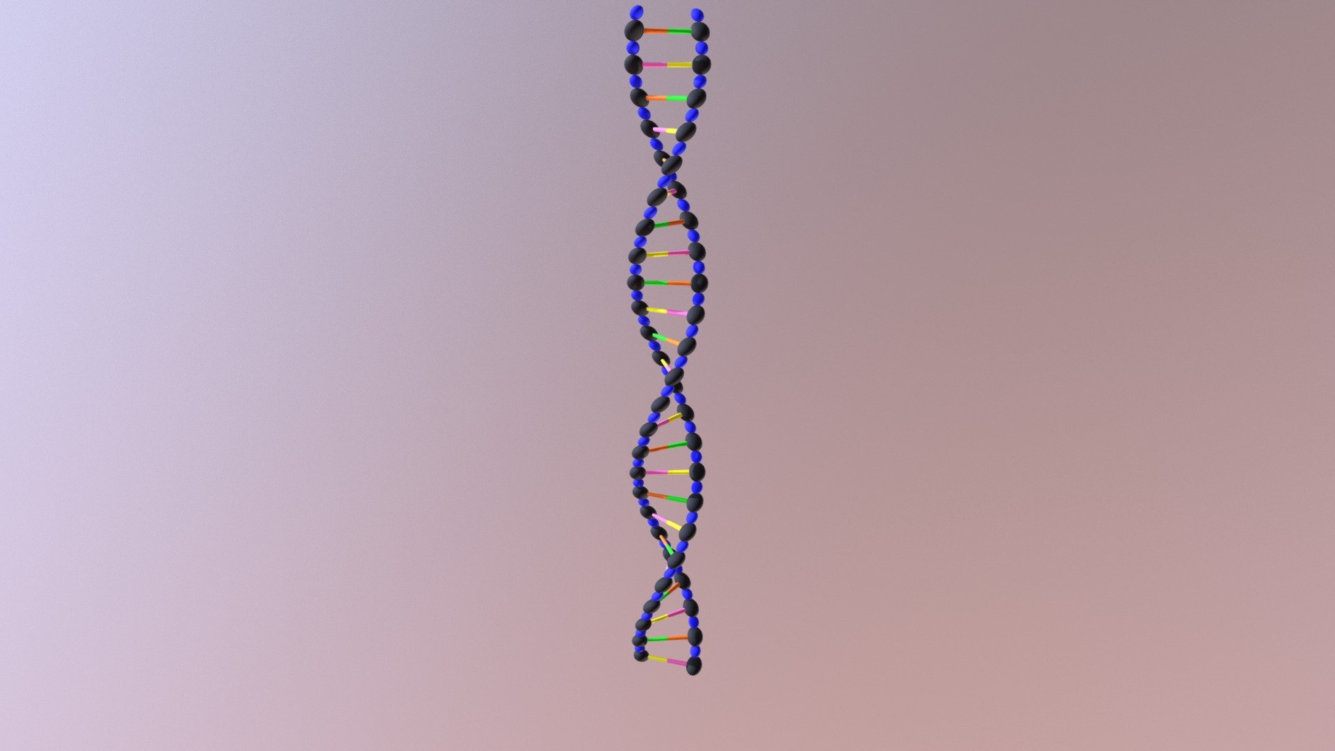 Représentation 3D de la molécule d'ADN - 3D model by Daniel.Luper ...