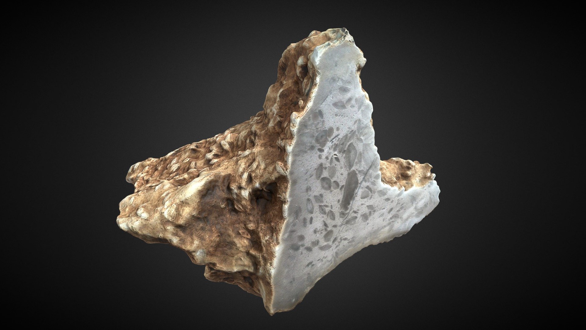 Shell Limestone - 3D Scan - Download Free 3D model by Sircher [d4d4e41 ...