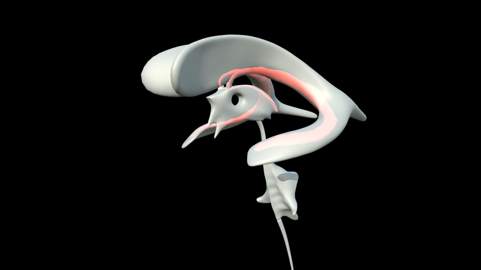 Anatomy of the Ventricular System of the Brain - Download Free 3D model ...