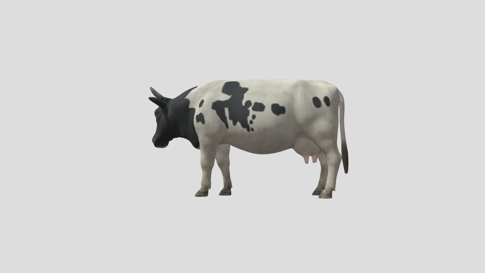 Anatomi dan fisiologi ambing - 3D model by hildasusanty [d4e06b1 ...