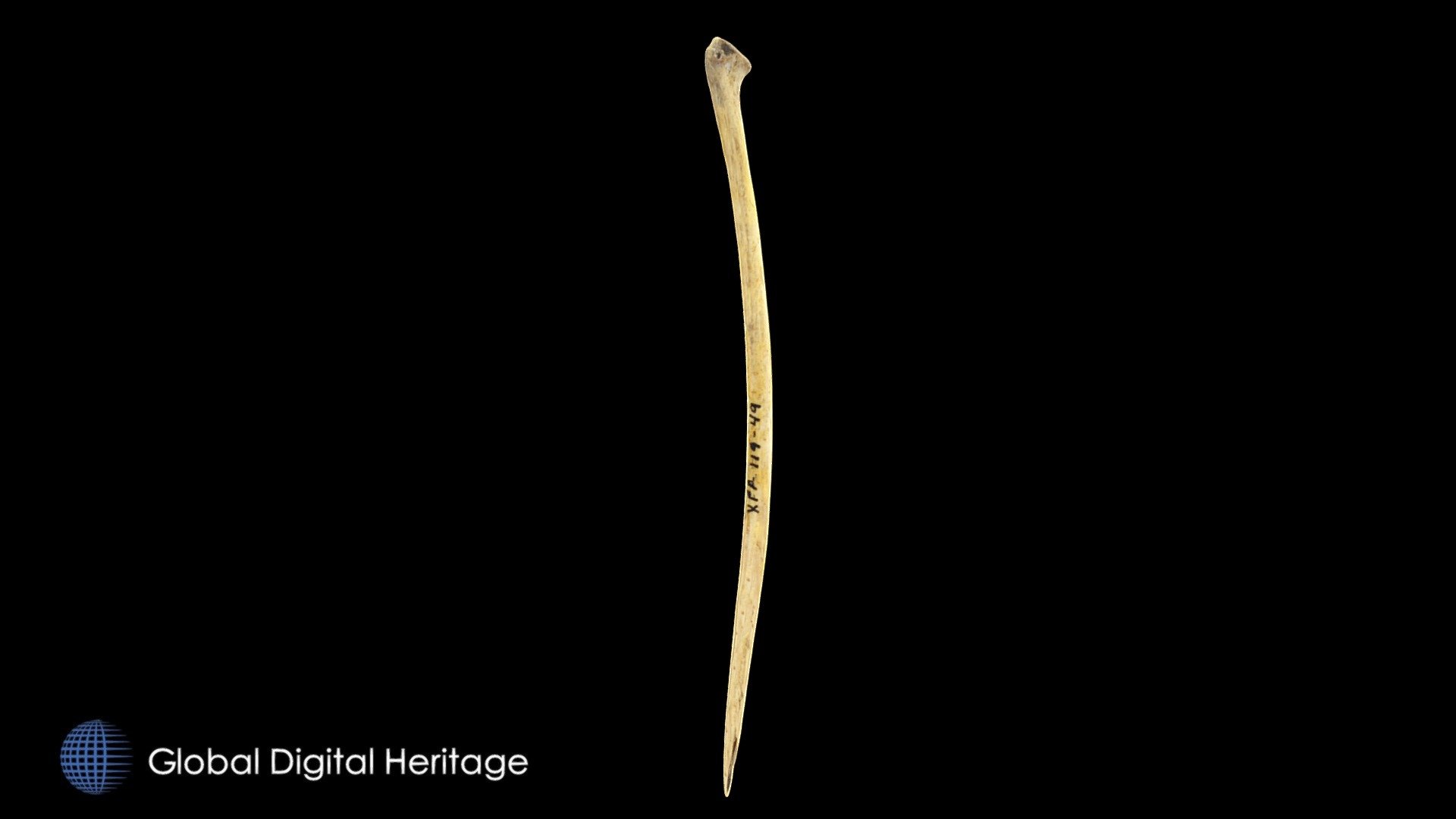 Bird Bone Awl, XFP-119, Sanak Island, Alaska. - Download Free 3D model ...
