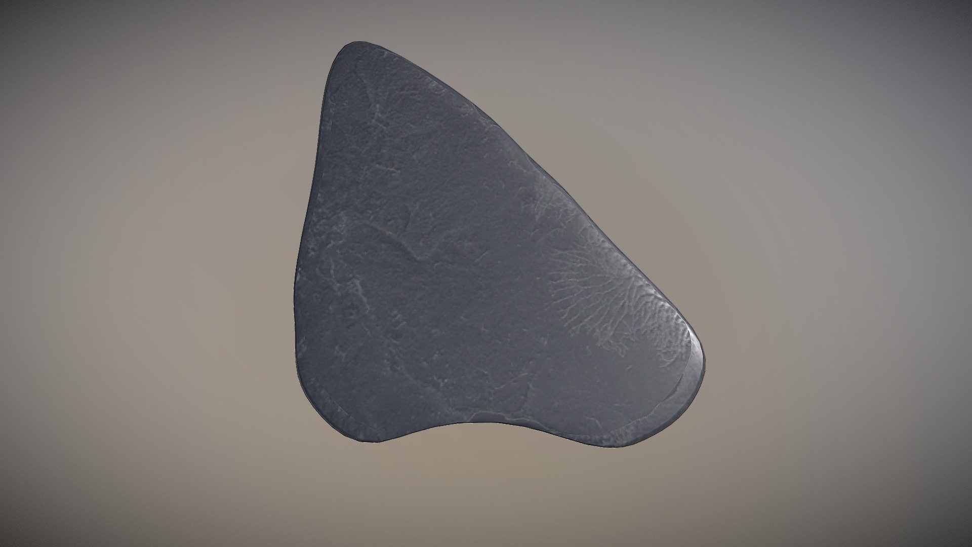 Question 2A Dictyonema - 3D model by Systematic Paleontology Missouri S ...