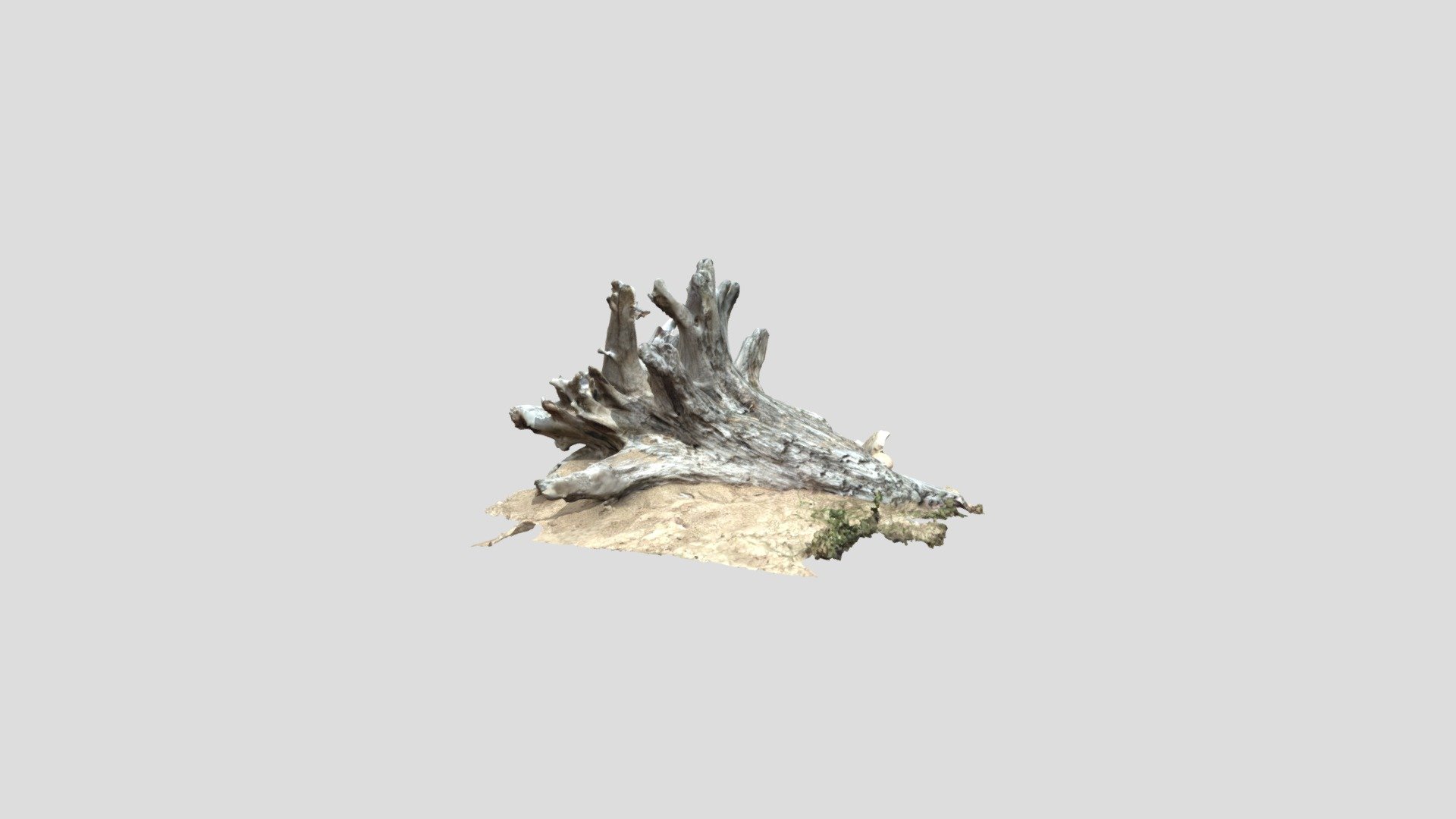The Roots - Download Free 3D model by ethan.goldhammer [d4f03e4 ...