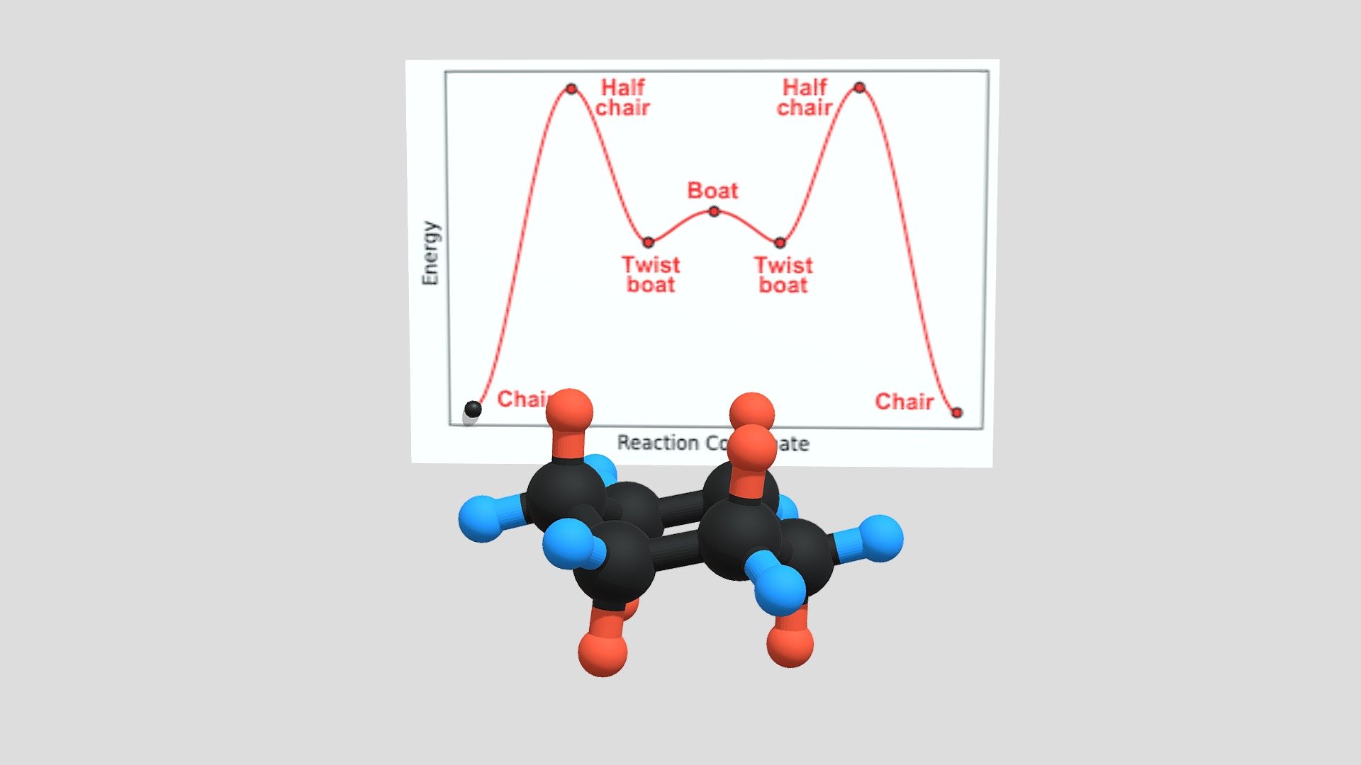 Cyclohexane Ring Flip (Improved) - Download Free 3D model by Chemistry ...