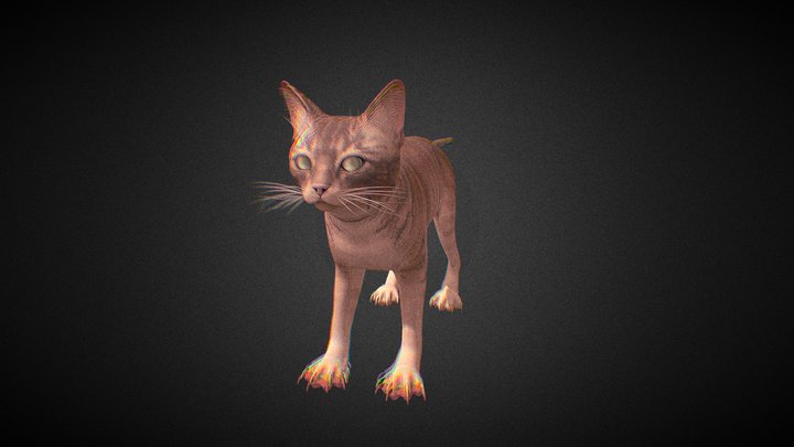 Stray 3D models - Sketchfab