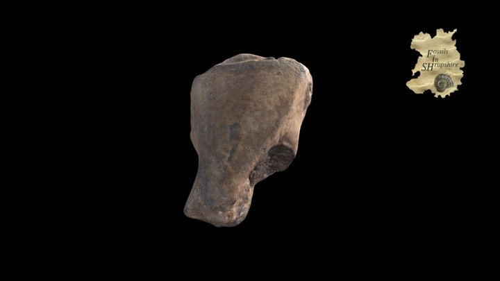 Trapezoid 3D models - Sketchfab