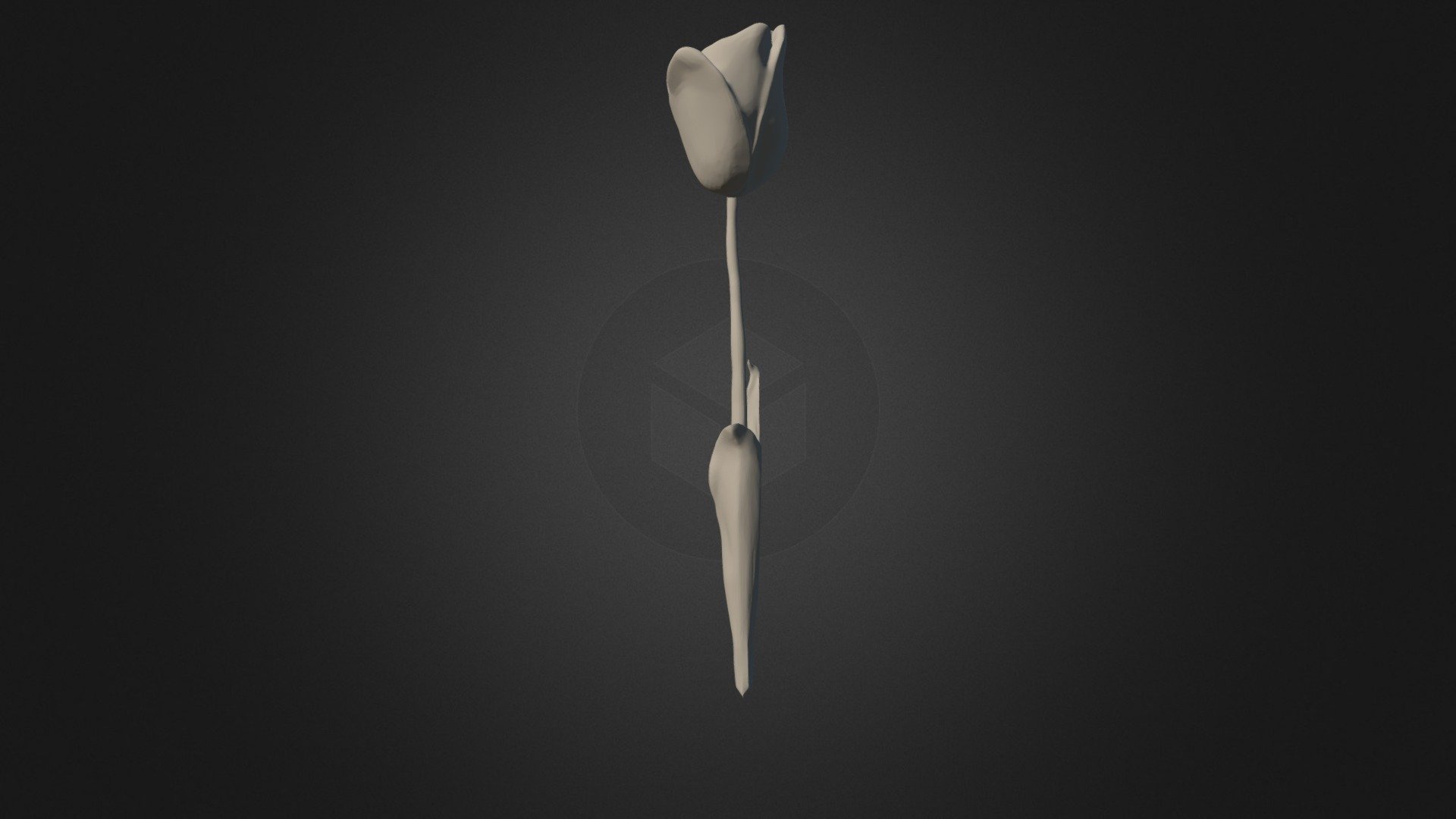 Tulipan - 3D model by bbt [d50a429] - Sketchfab