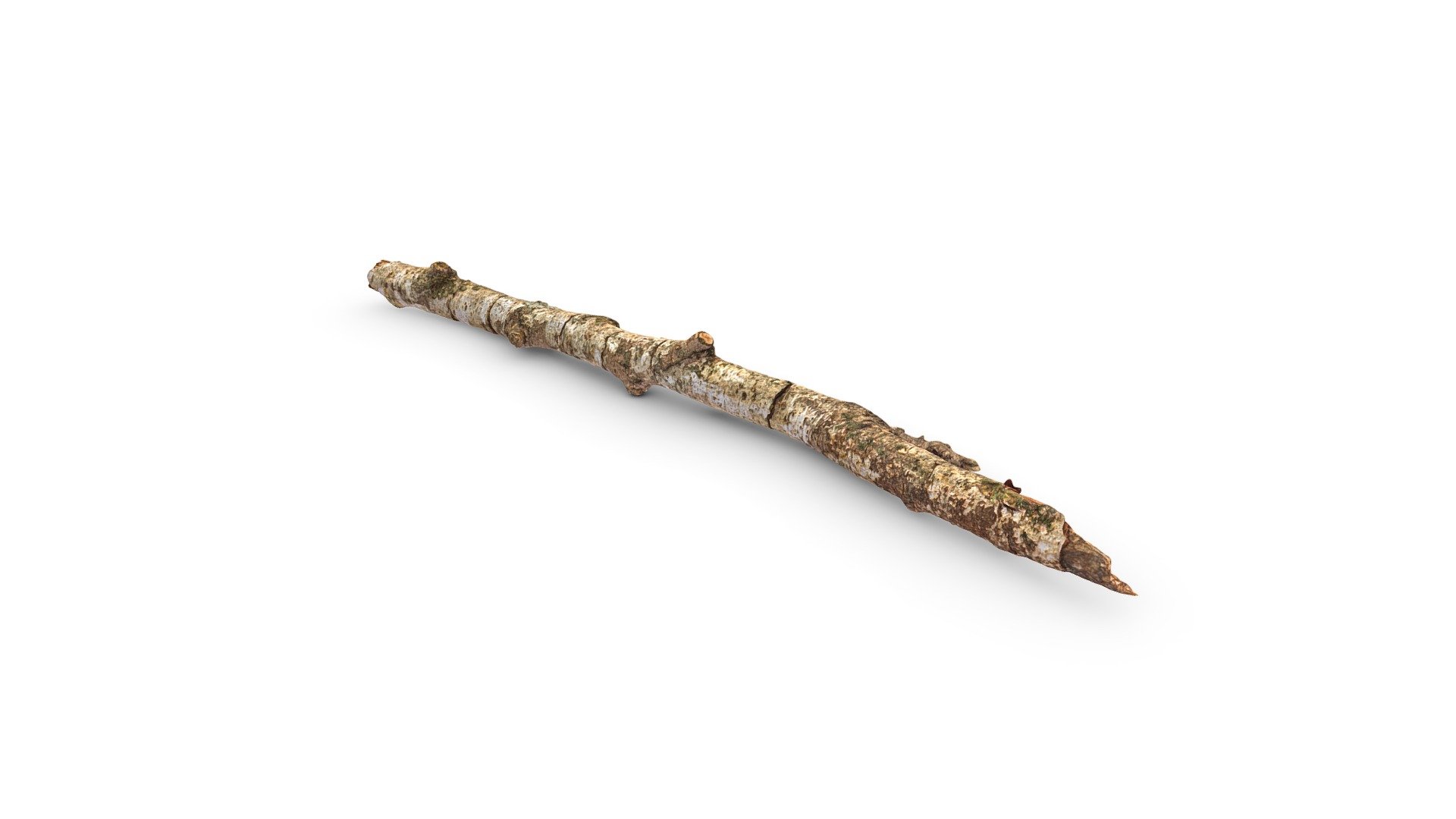 Forest Stick - 3D model by RawCatalog.com (@rawcatalog) [d50a562 ...