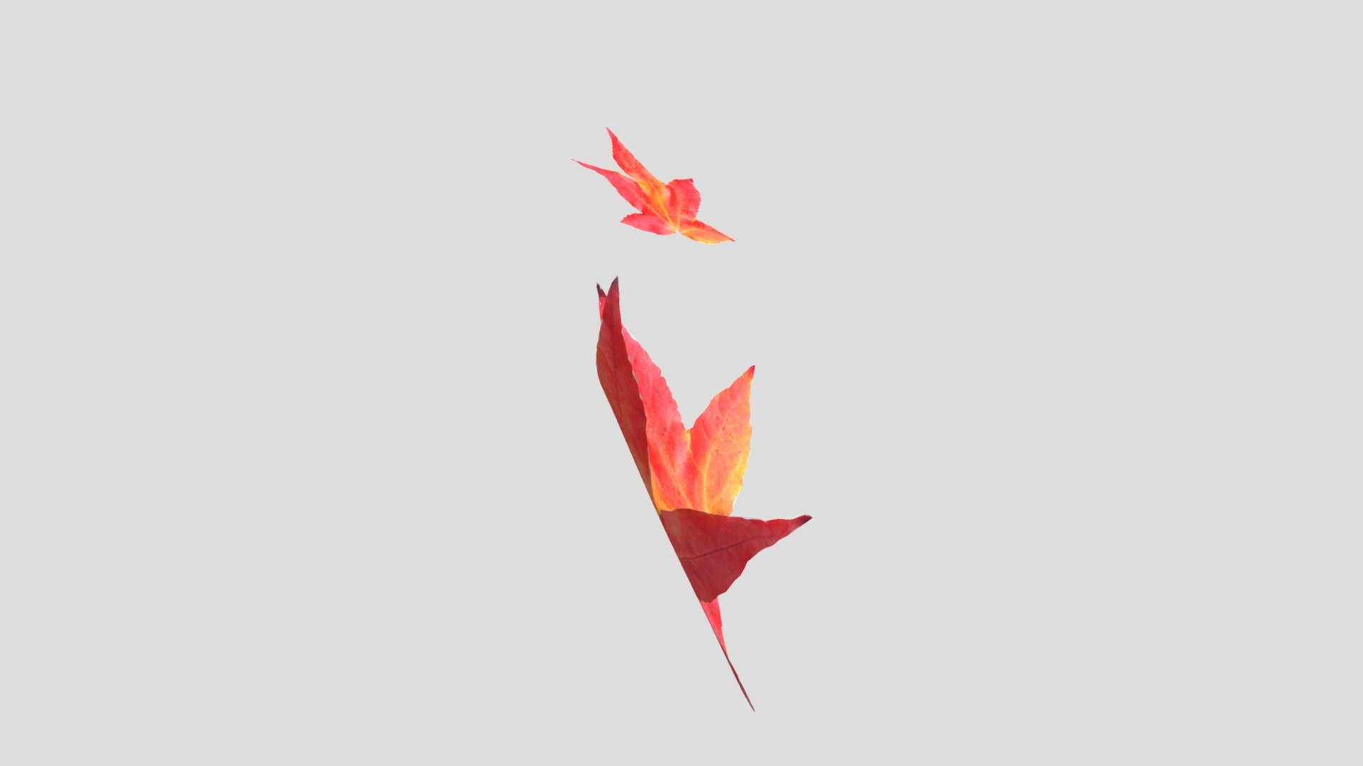 Autumn leave animation - Buy Royalty Free 3D model by Nati Gonzalez ...