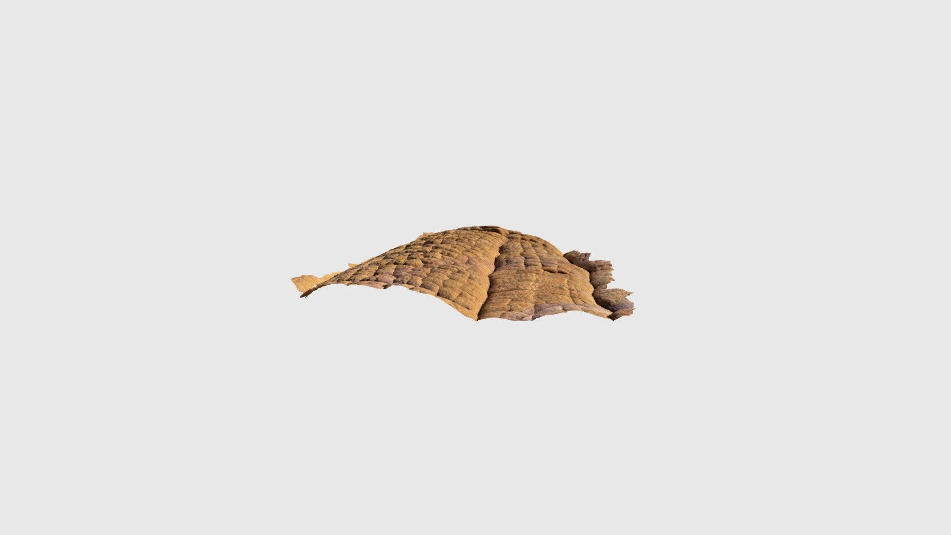 Polygonal weathering, Navajo Sandstone - Download Free 3D model by ...