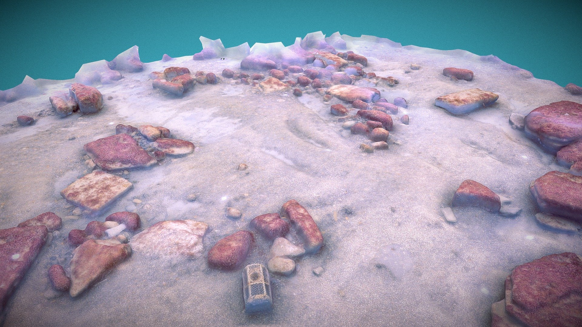 Black bream nest site, Purbecks 9th June 2021 - 3D model by Matt ...