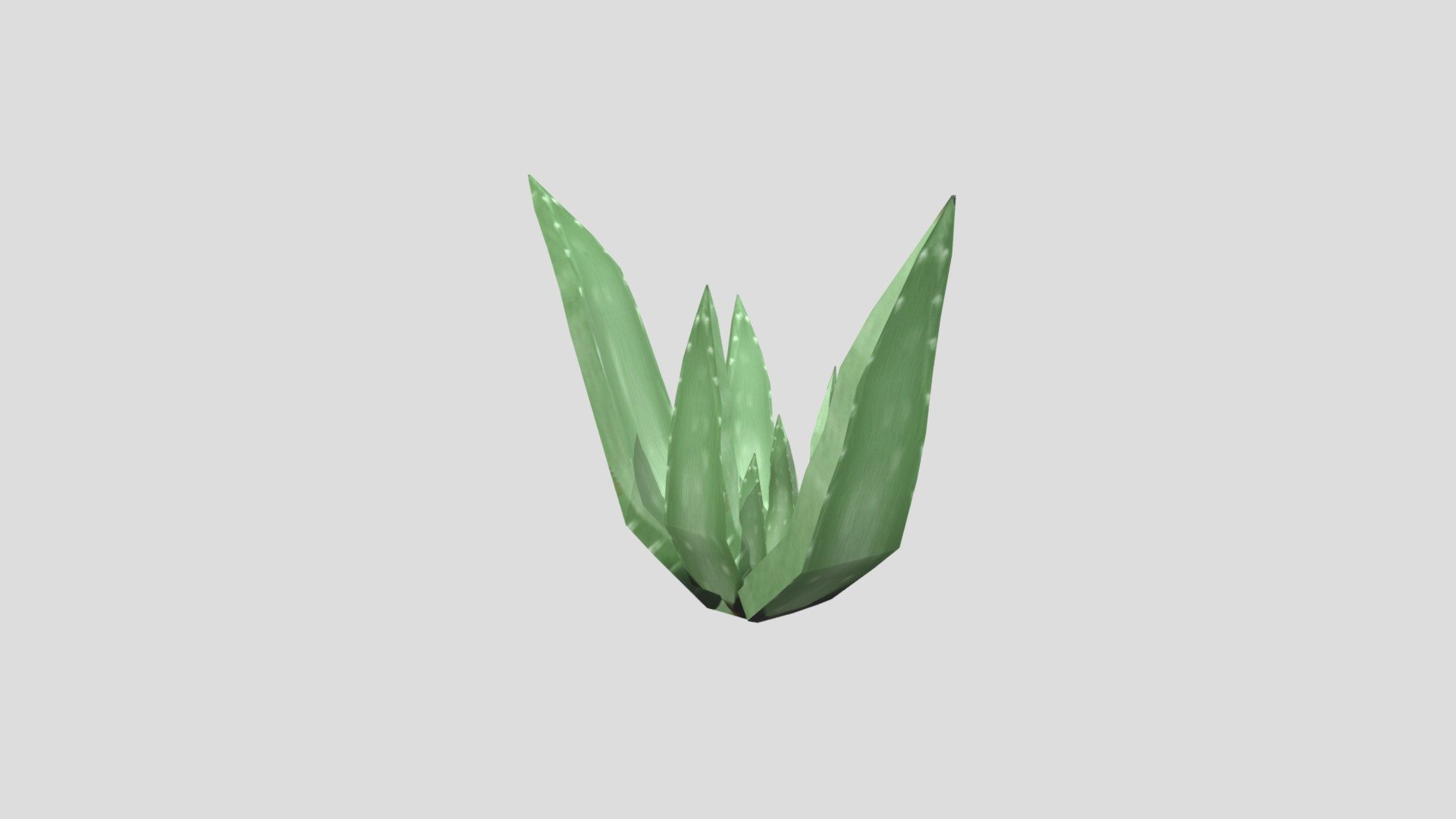aloe - 3D model by 123gandlaf [d525bfa] - Sketchfab