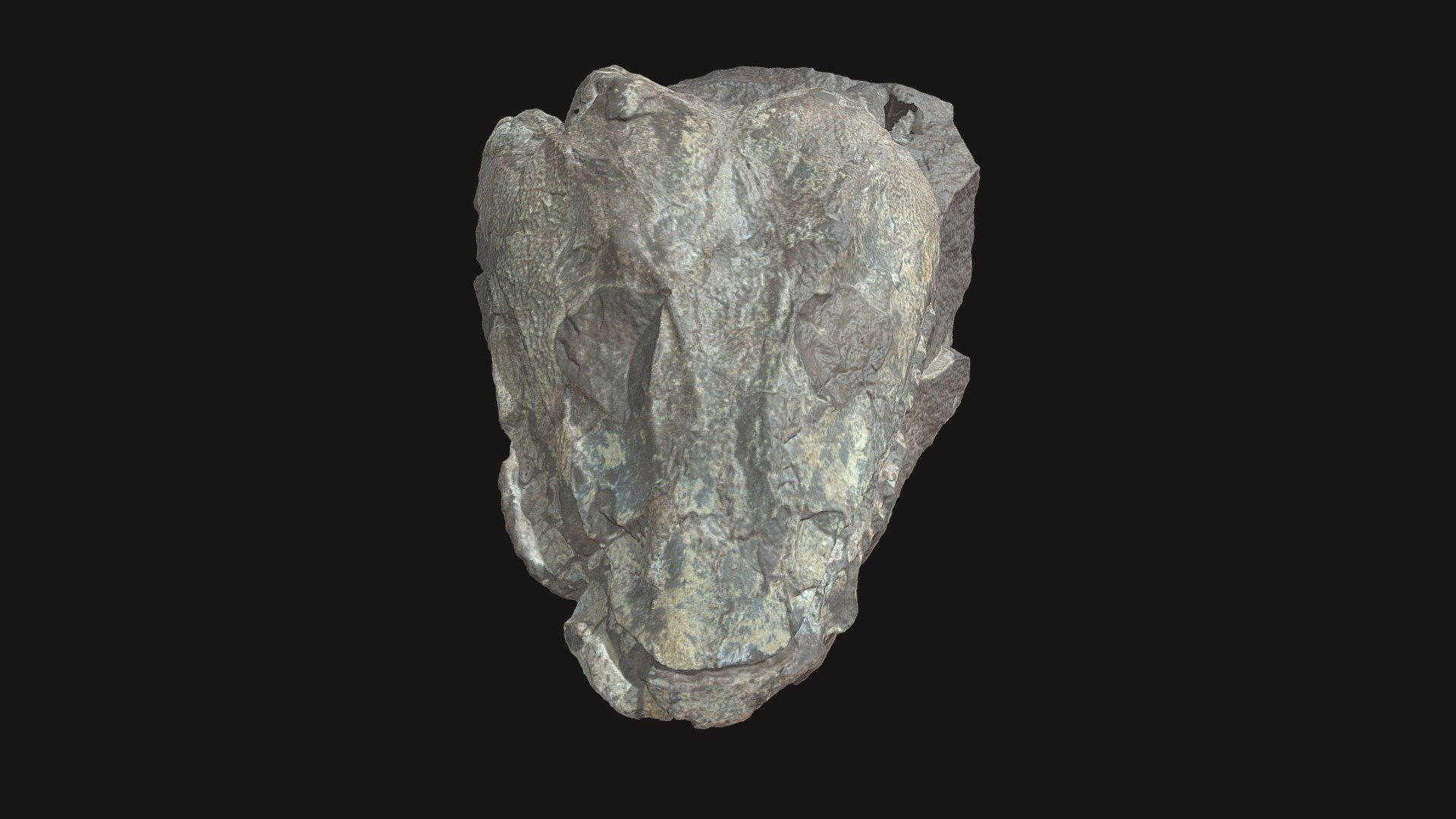Ichthyostega - 3D model by nhmdenmark [d528b65] - Sketchfab