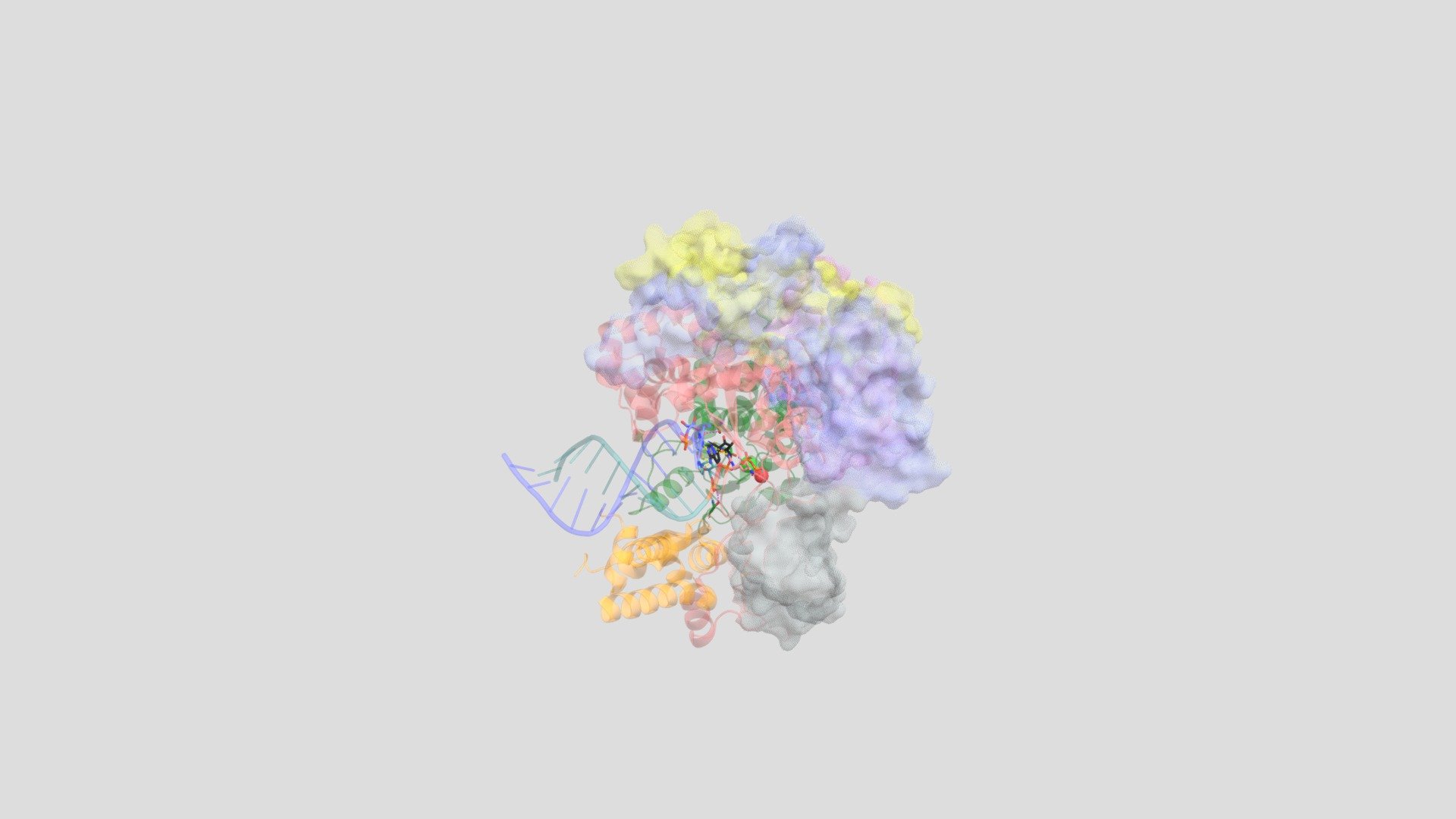 RNA-dependent RNA polymerase and Remdesivir - 3D model by Gabbi Conway ...