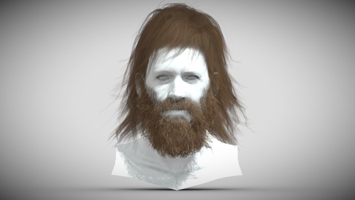 Beard 3D models - Sketchfab