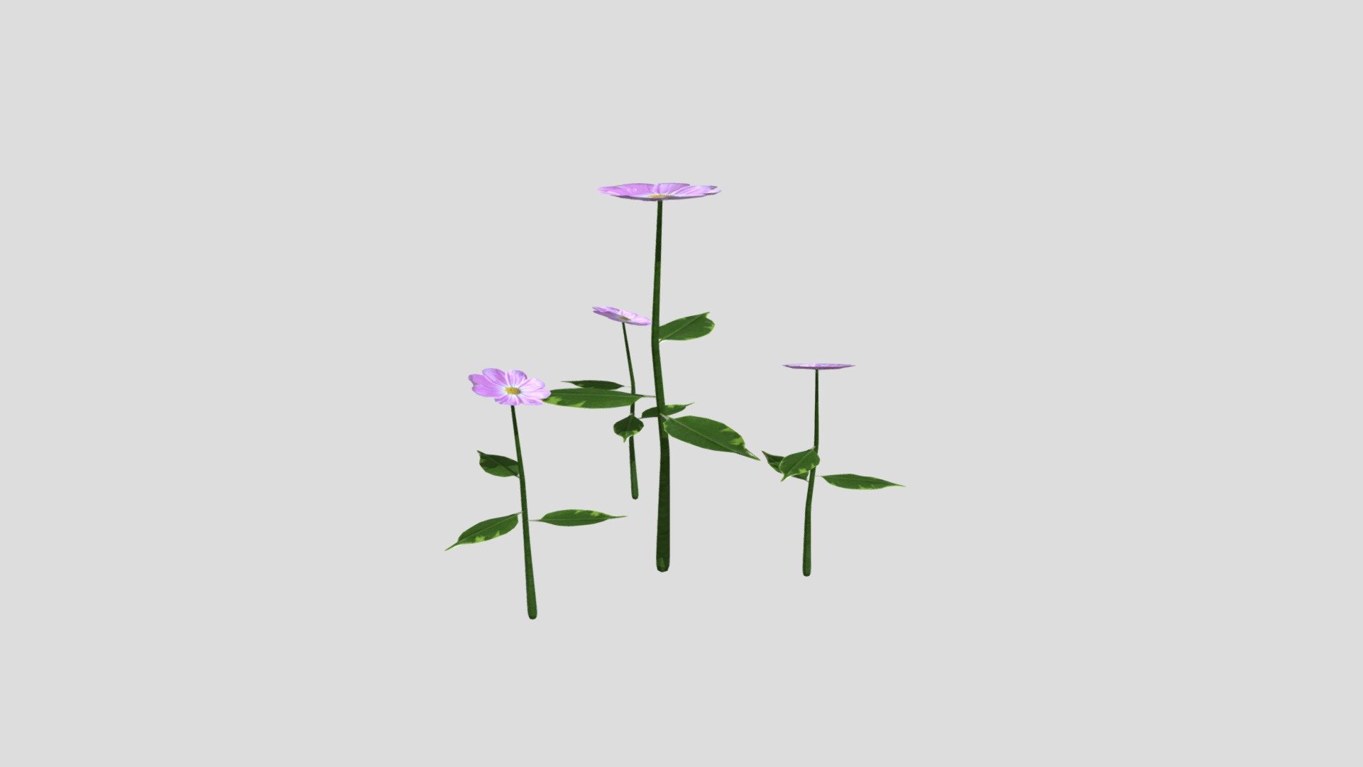 Purple Flowers - 3D model by Aleksthor [d5331e2] - Sketchfab