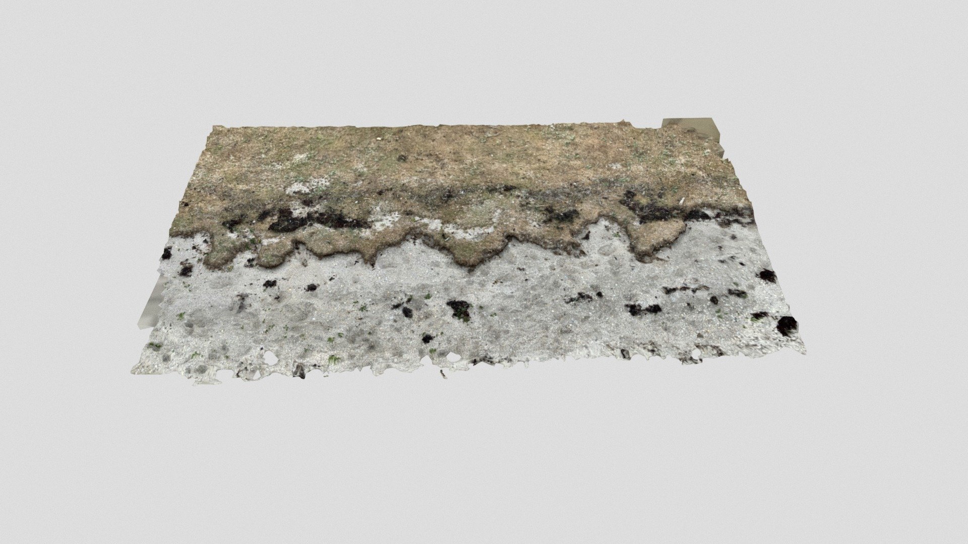 Beach grass ridge - Download Free 3D model by dahlberg150 [d53850c ...