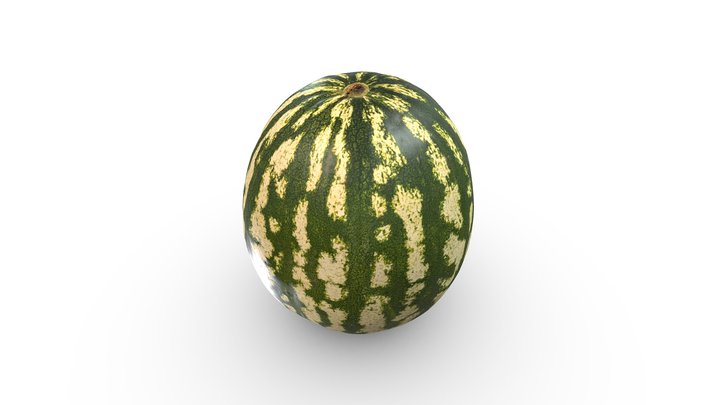 Model-567-a 3D models - Sketchfab