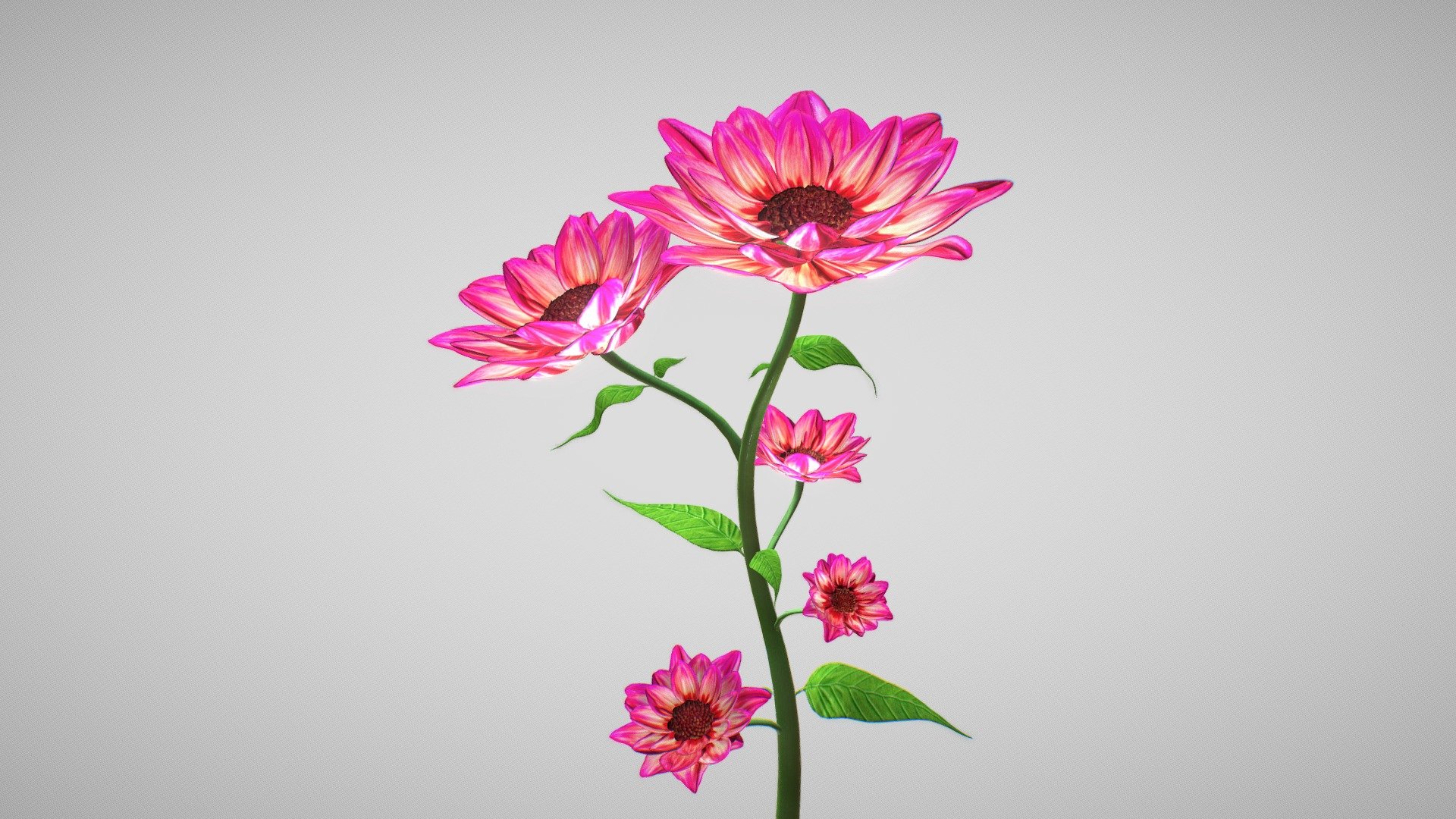Pink Flowers - 3D model by 3Dee (@mellydeeis) [d540ef3] - Sketchfab