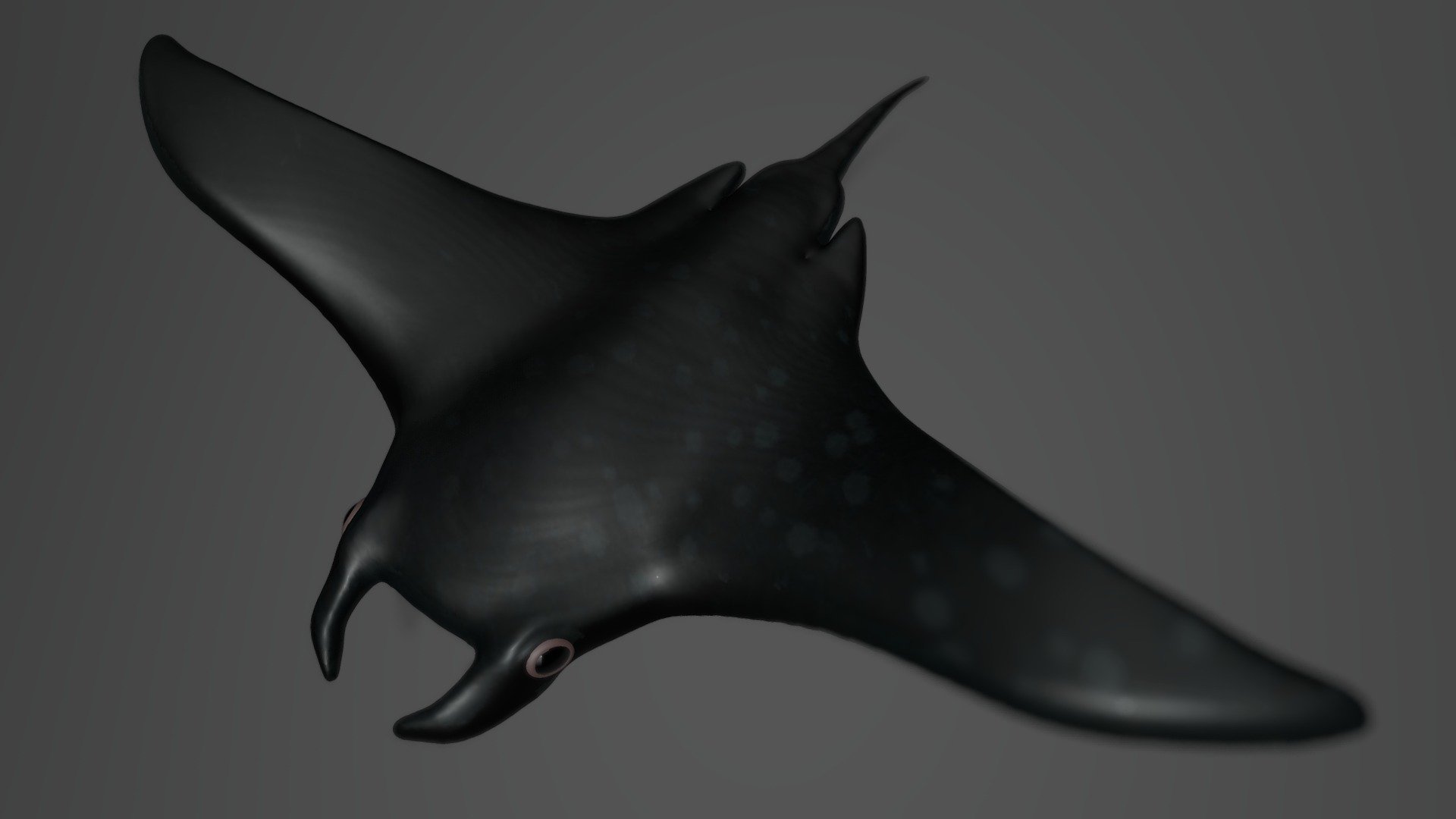 Stingray - Download Free 3D model by Kade.Wolfe [d5425f1] - Sketchfab