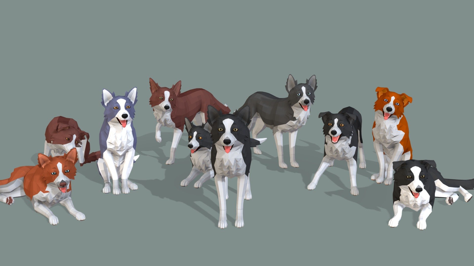 LowPoly Dog - Border Collie - Buy Royalty Free 3D model by RedDeer ...