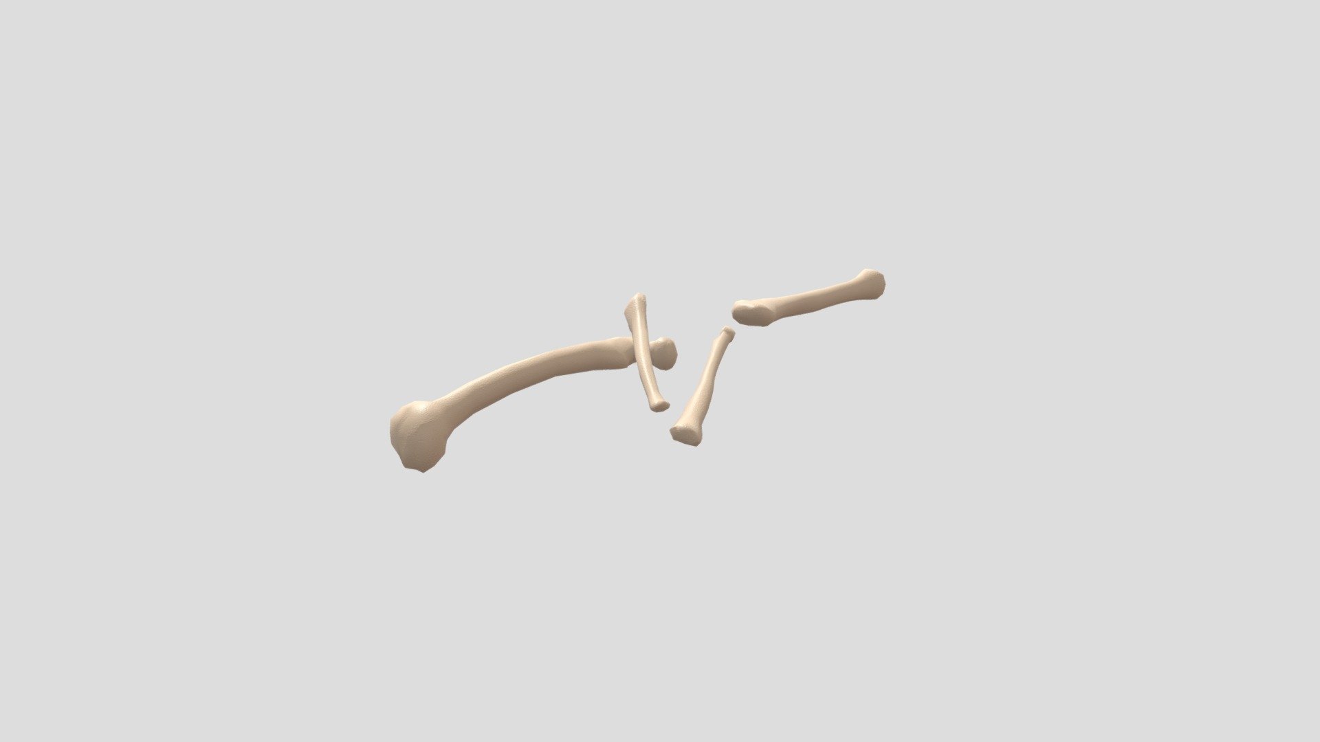 Bones - 3D model by DonalR [d546538] - Sketchfab