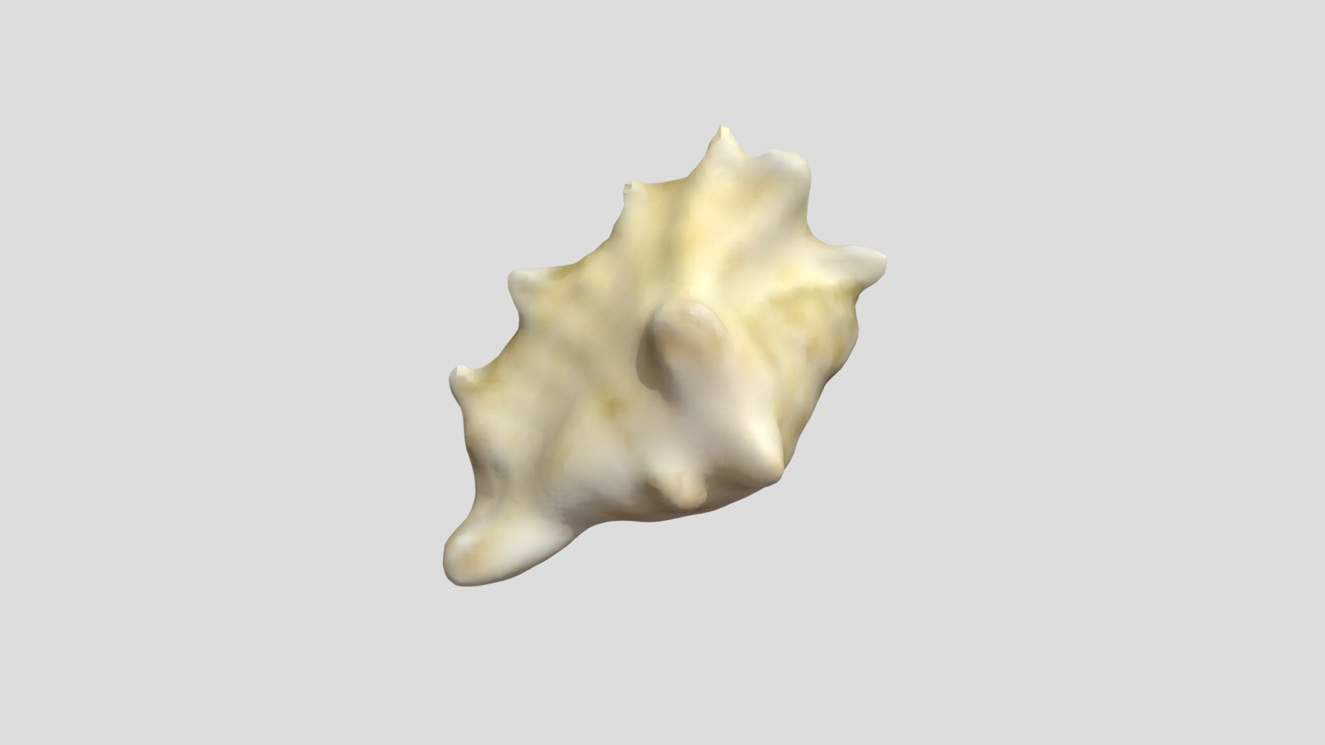 Spider Conch Shell Scan 3 - 3D model by Julia Esteibar (@esteibar ...