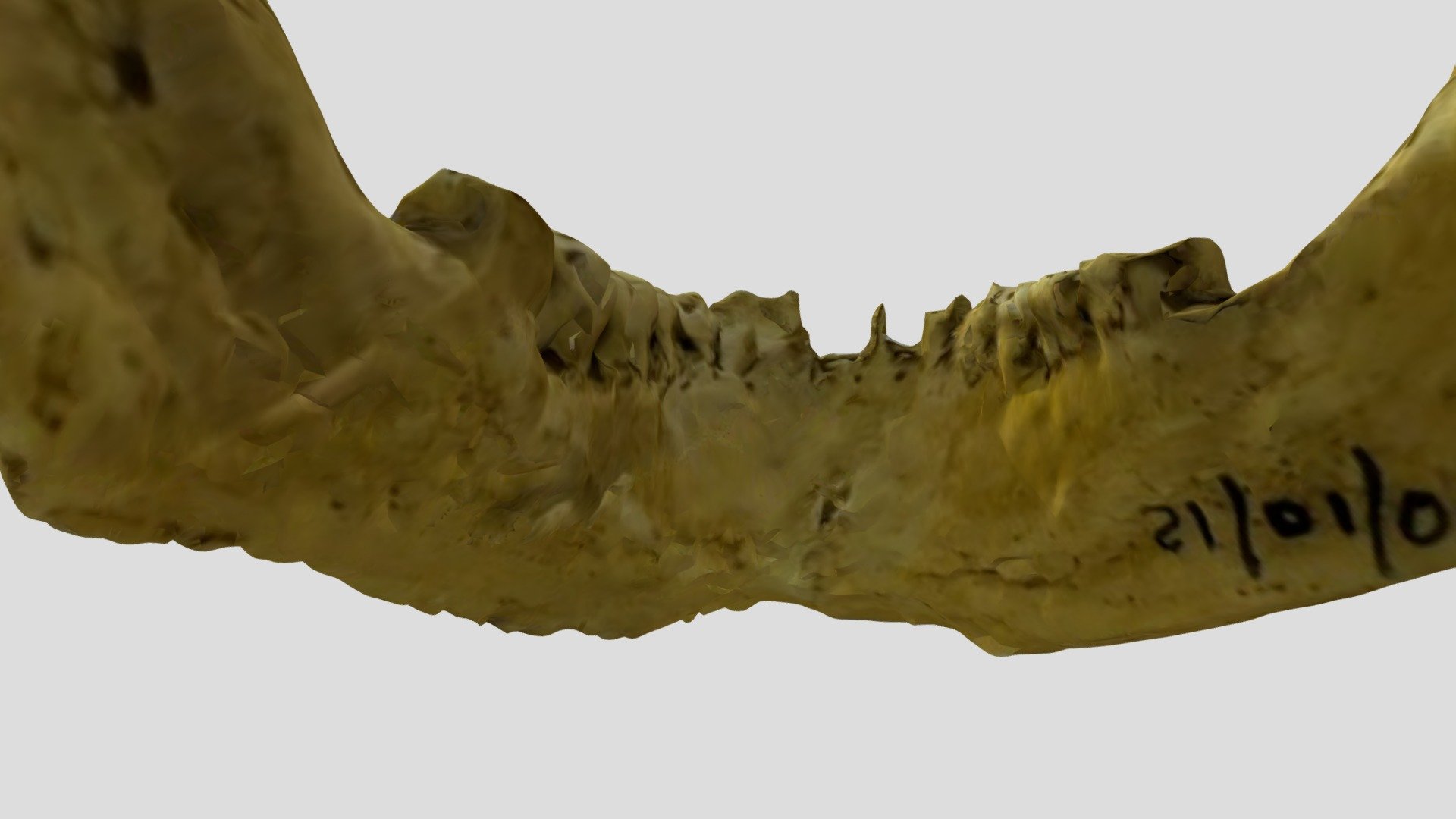 mandible - Download Free 3D model by prajjawalit [d54ea81] - Sketchfab