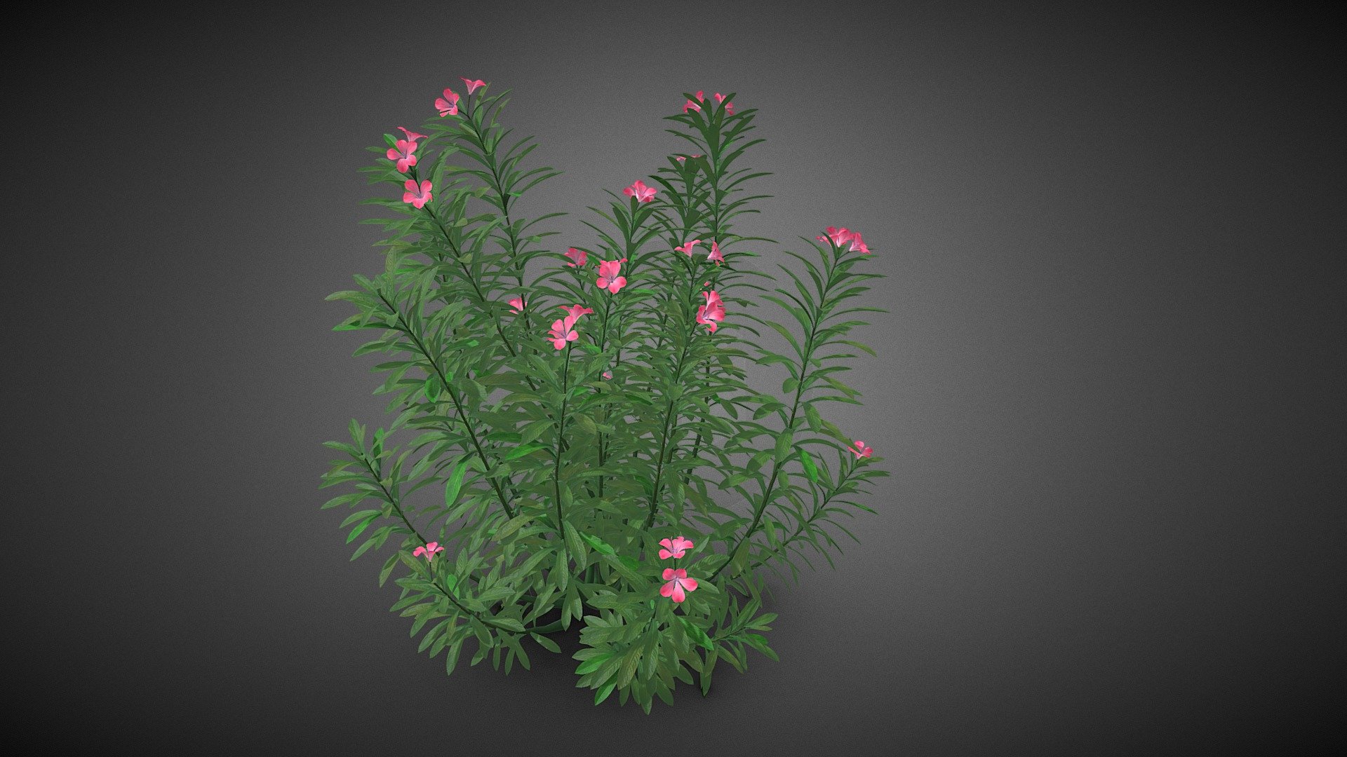 Shrub tree - Buy Royalty Free 3D model by misitewang [d5518a2 ...