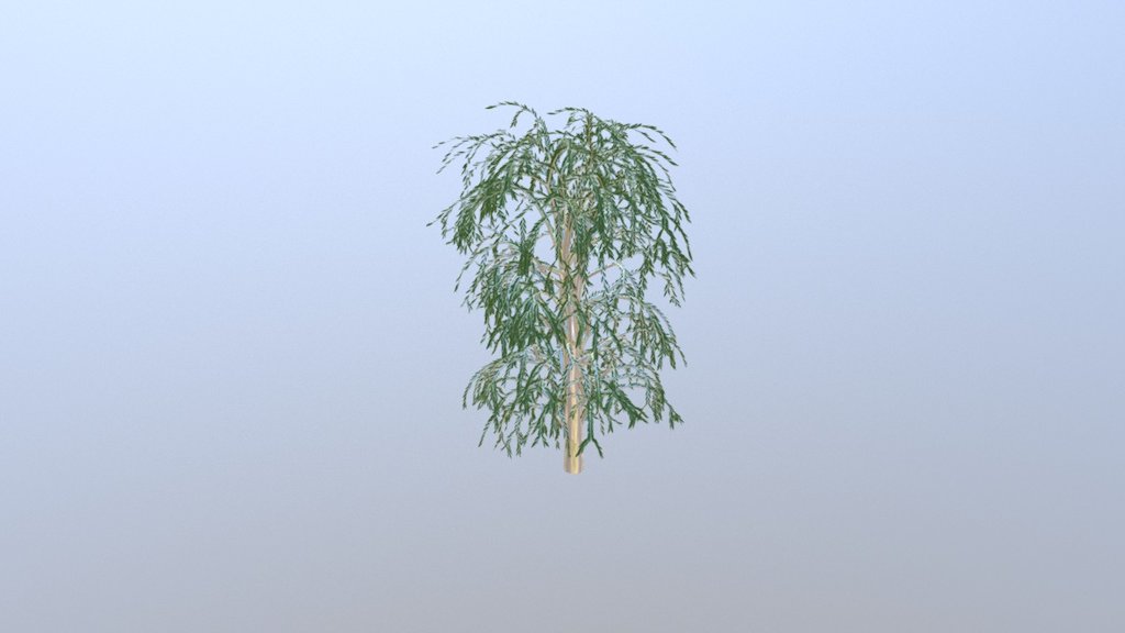 Willow 01 - 3D model by madmaxx9000 [d557890] - Sketchfab