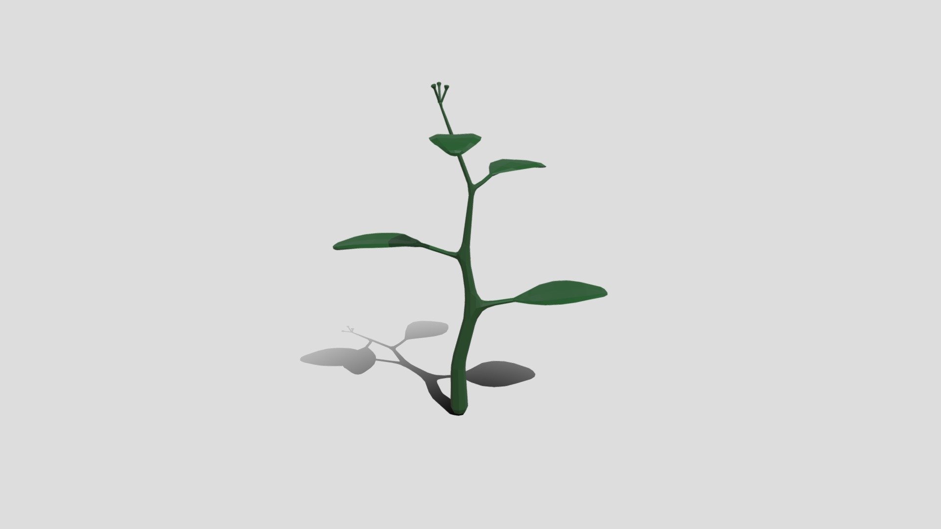 Plant simple - Download Free 3D model by krissorayan [d5580b8] - Sketchfab