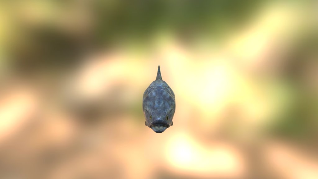 Coccosteus Model - 3D model by anthodonkr [d55bd76] - Sketchfab