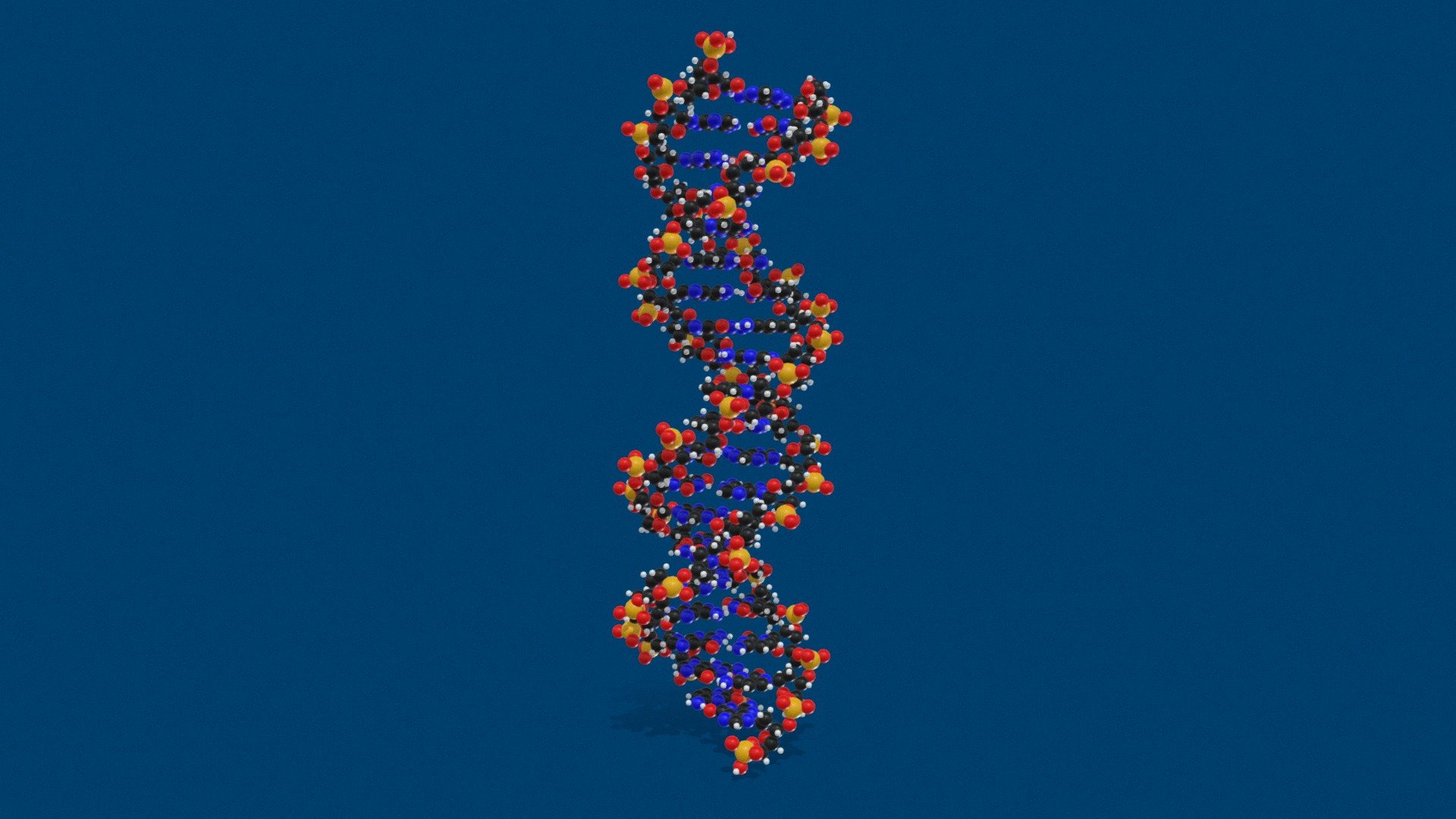 dna-molecule - 3D model by tessglsb [d5680c3] - Sketchfab