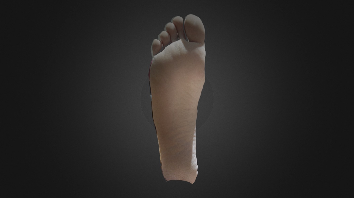 Foot - 3D model by eora 3D (@eora3d) [d5687d7] - Sketchfab