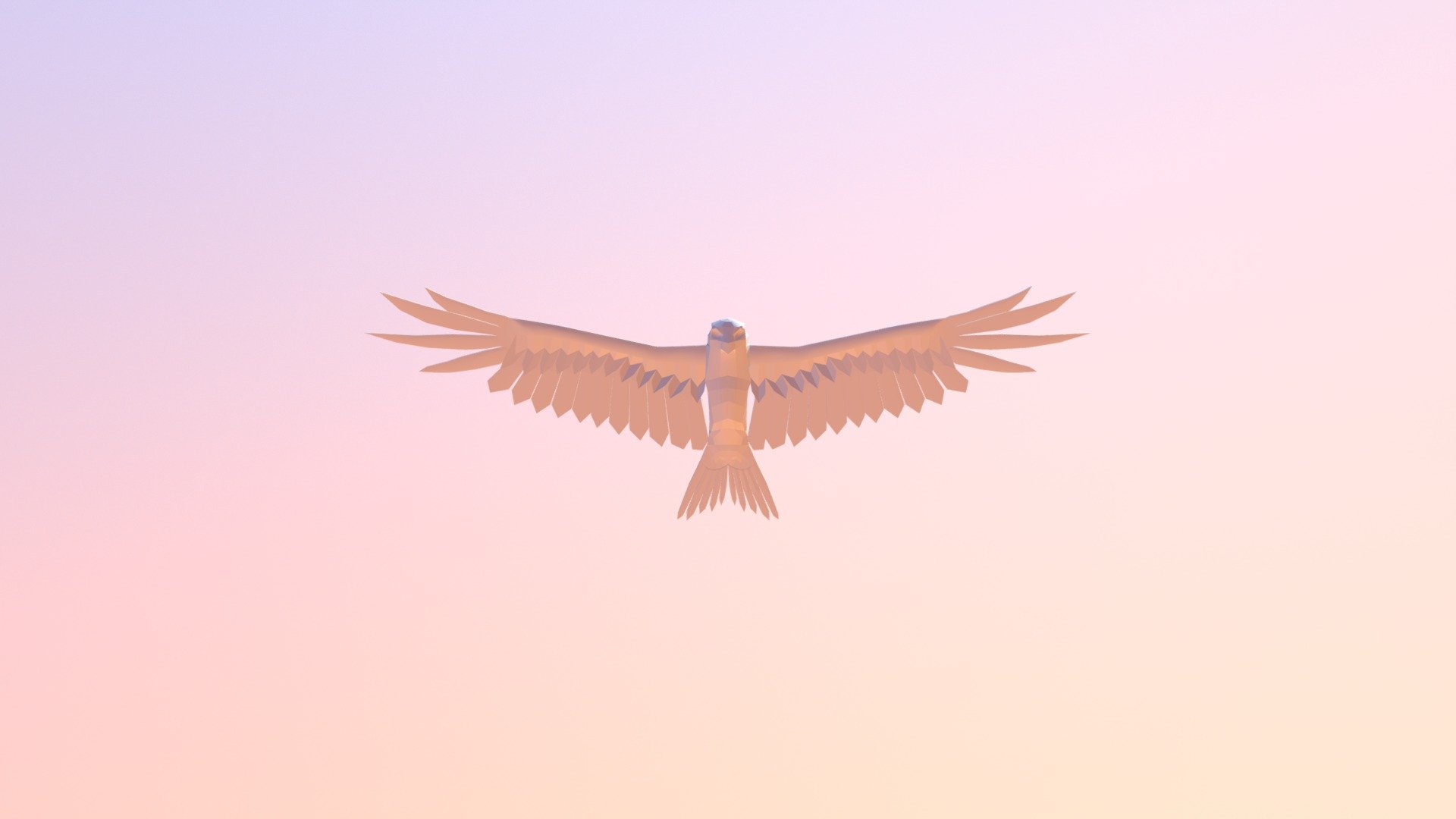Simple Hawk Model - 3D model by Callum Luckwell (@callumluckwell ...