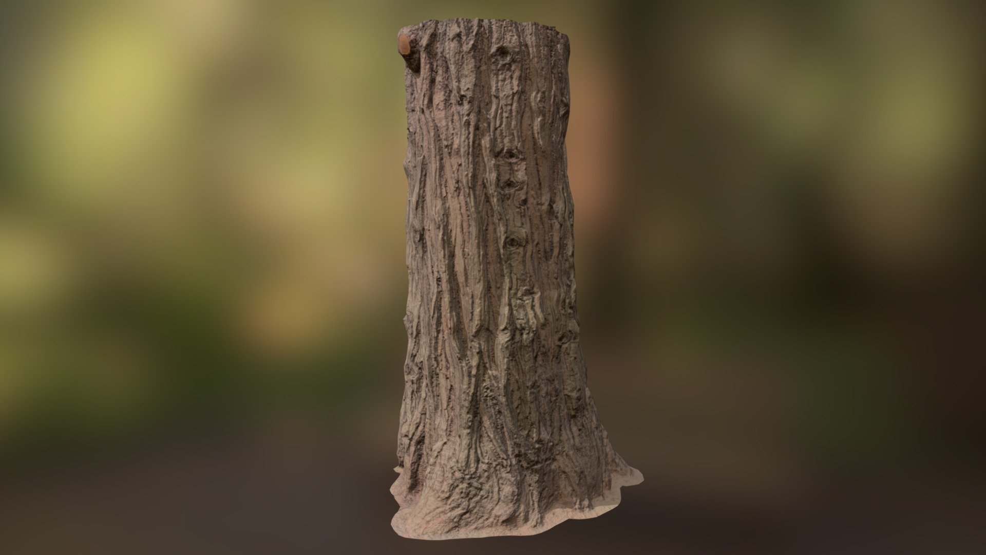 Cypress Pine Trunk 2 Mid Poly - Buy Royalty Free 3D model by Quay Quay ...